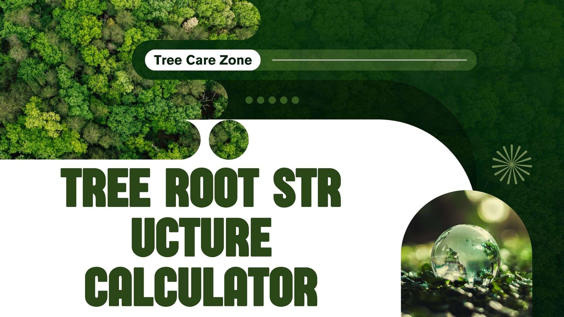 Tree Root Structure Calculator: Estimate Root Depth & Spread