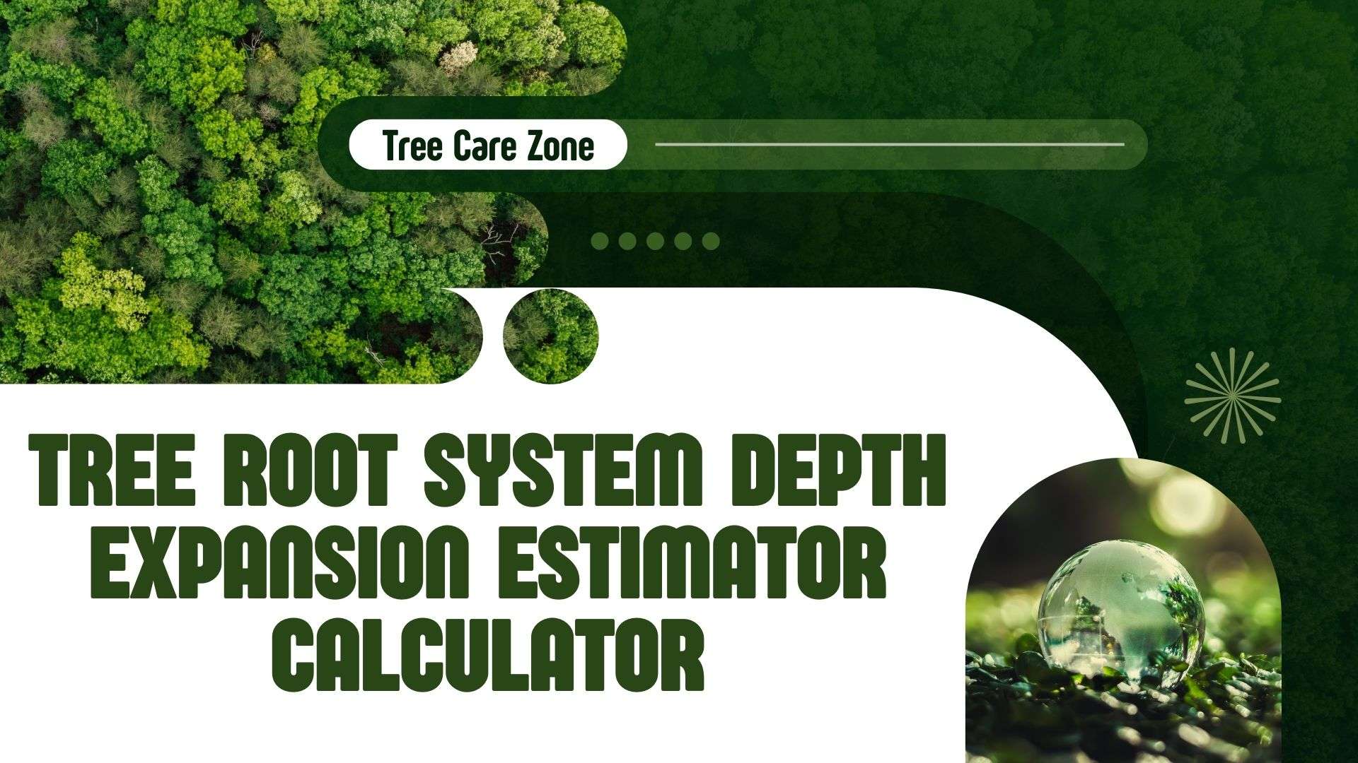 Tree Root System Depth Expansion Estimator Calculator Tool