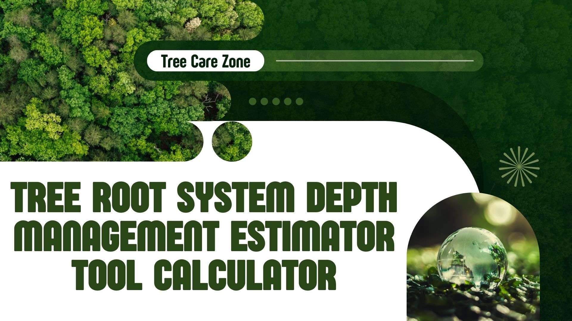 Tree Root System Depth Management Estimator Tool Calculator