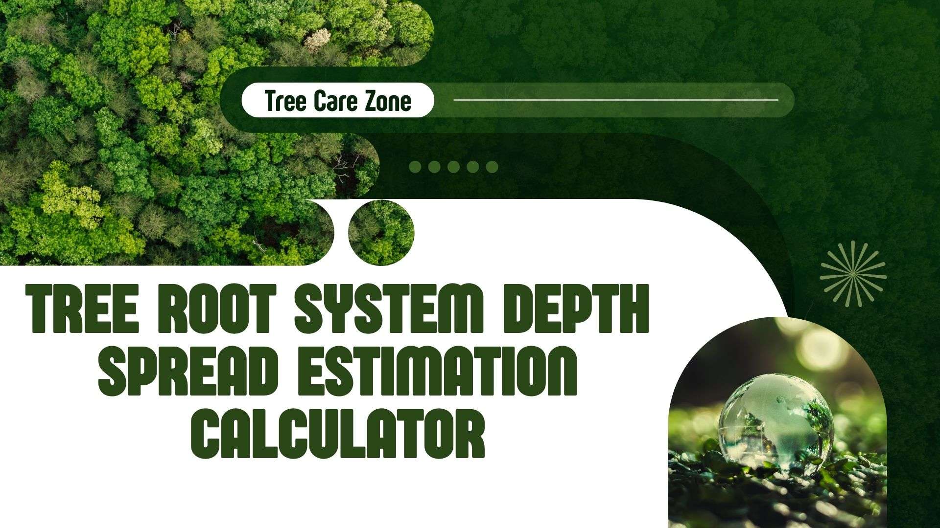 Tree Root System Depth Spread Estimation Calculator Guide