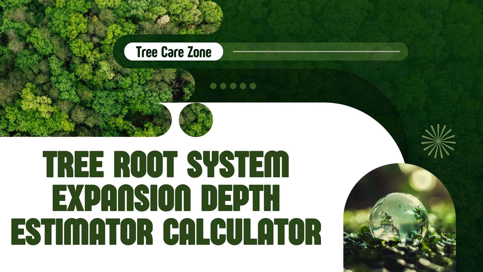 Tree Root System Expansion Depth Estimator Calculator Tool