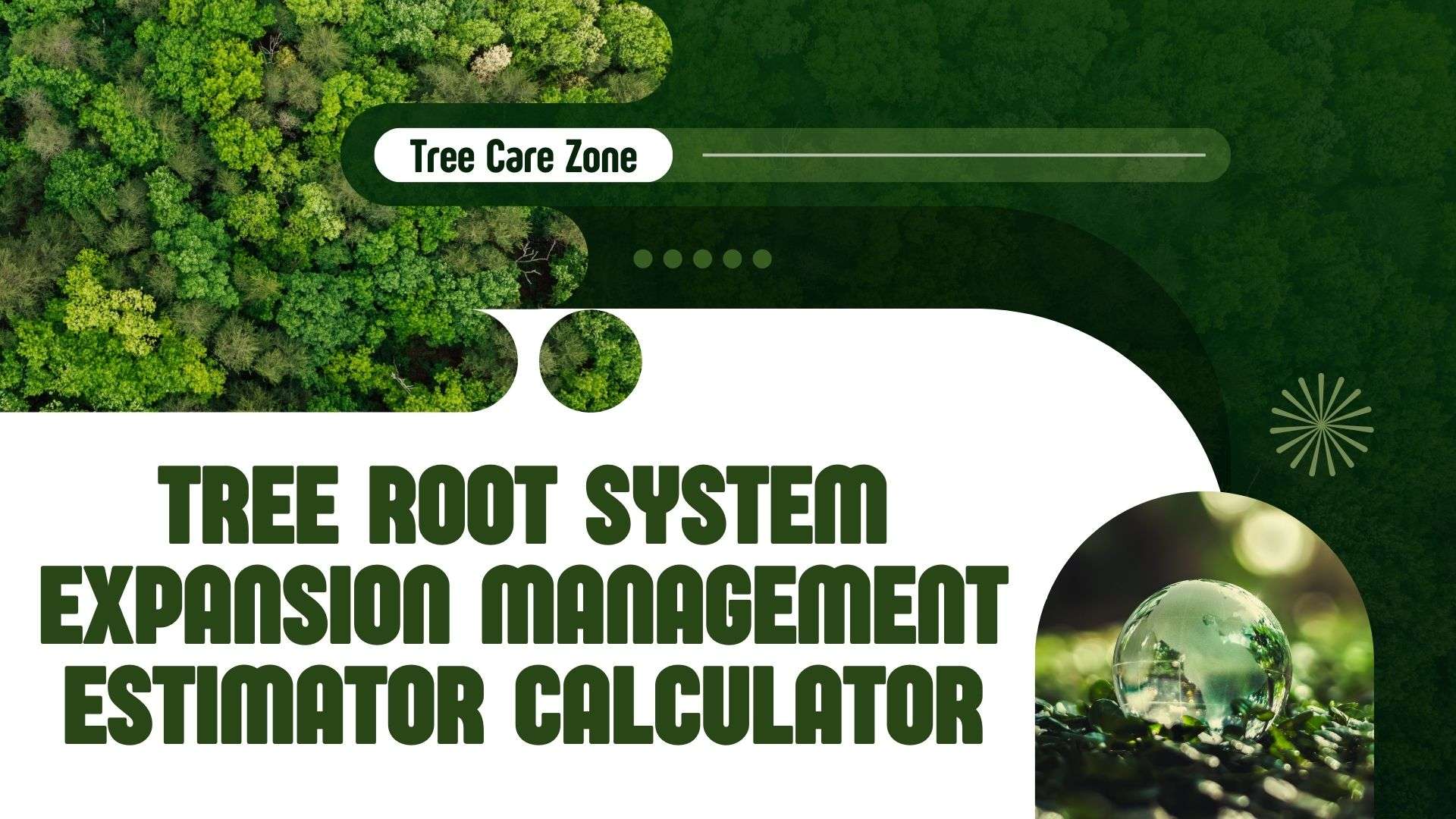 Tree Root System Expansion Management Estimator Calculator