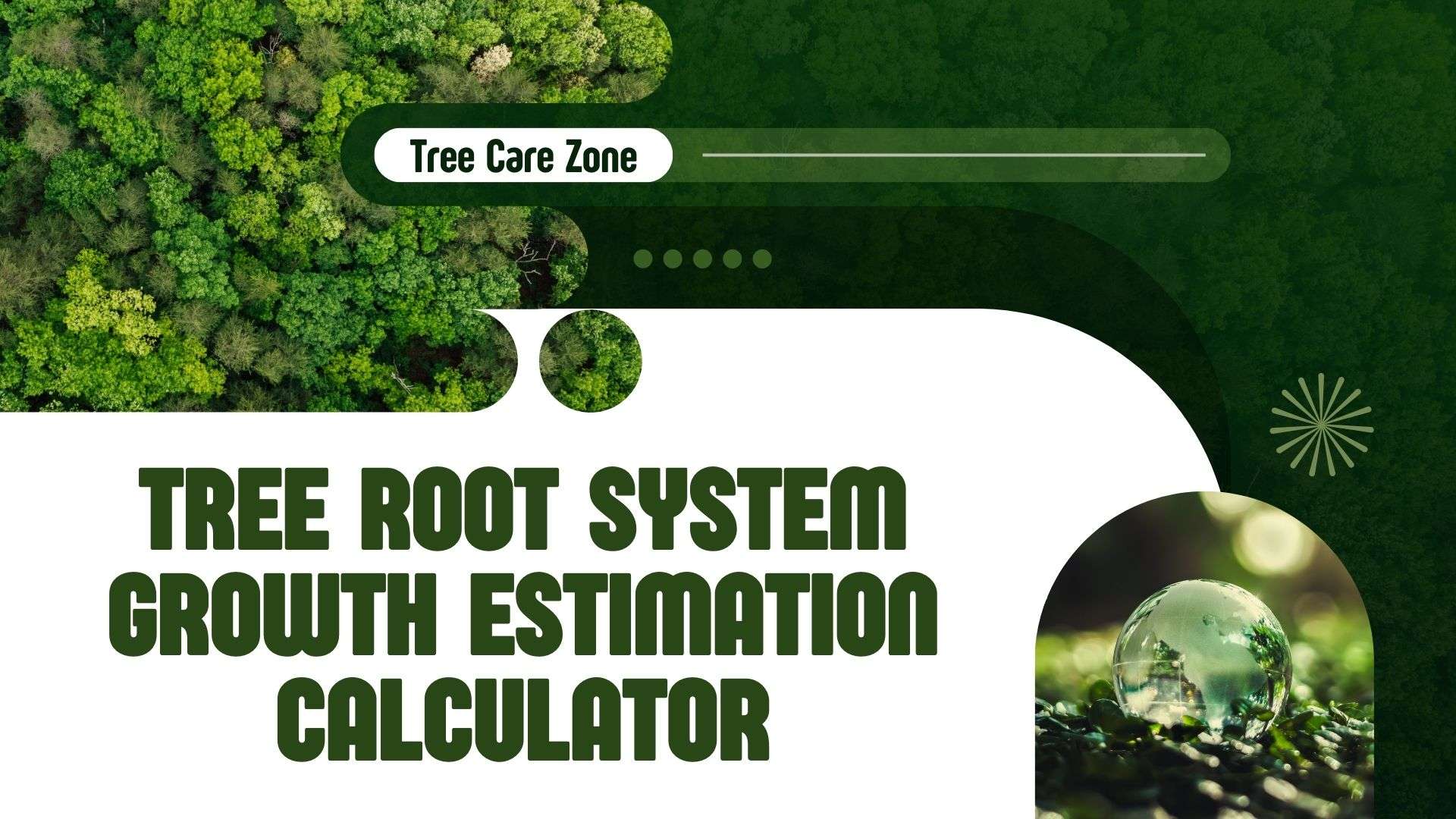 Tree Root System Growth Estimation Calculator Tool