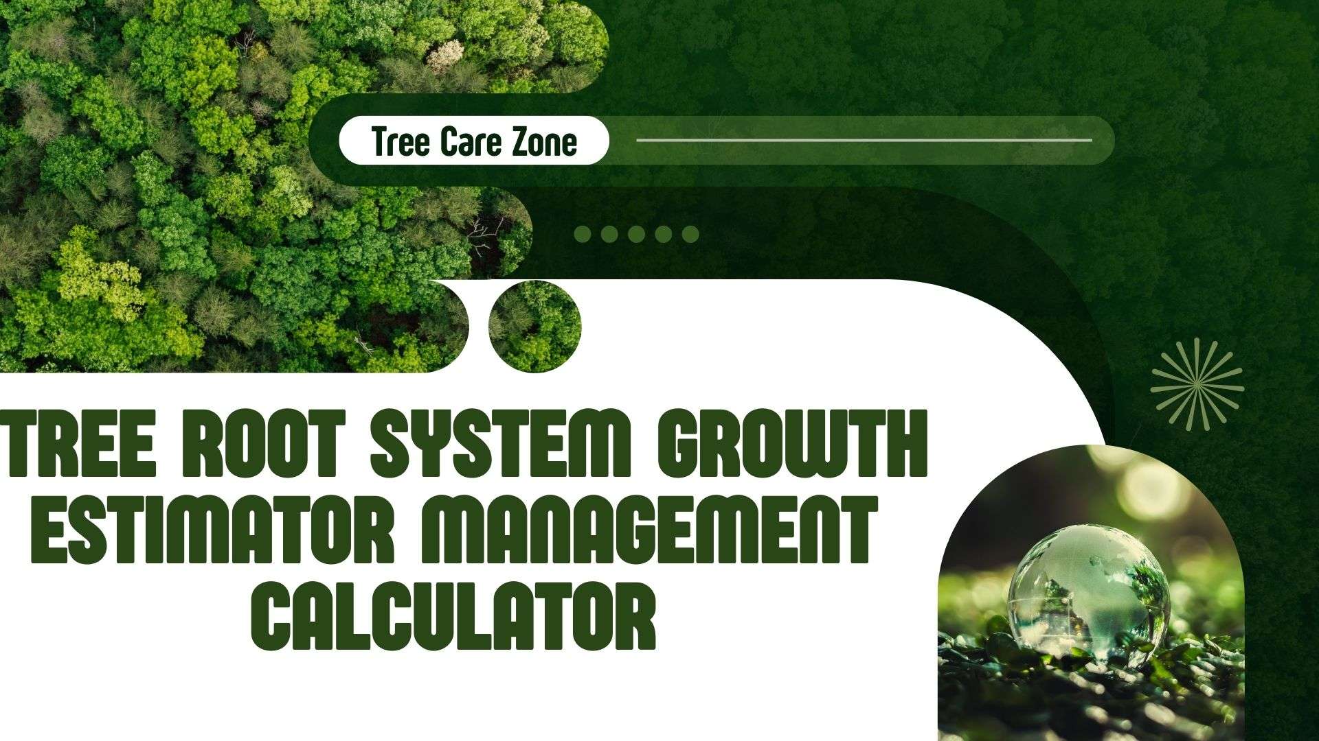 Tree Root System Growth Estimator Management Calculator Tool