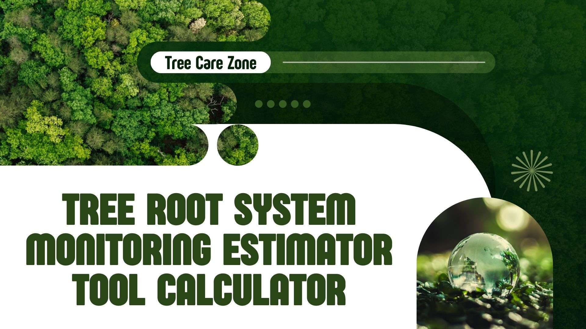 Tree Root System Monitoring Tool