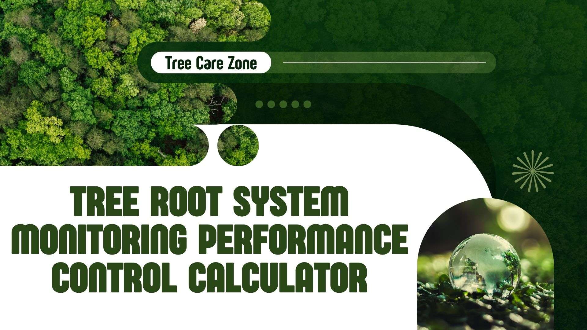 Tree Root System Monitoring Performance Control Calculator Tool