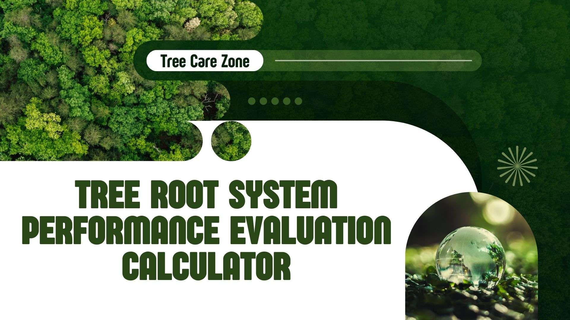 Tree Root System Performance Evaluation Calculator Guide