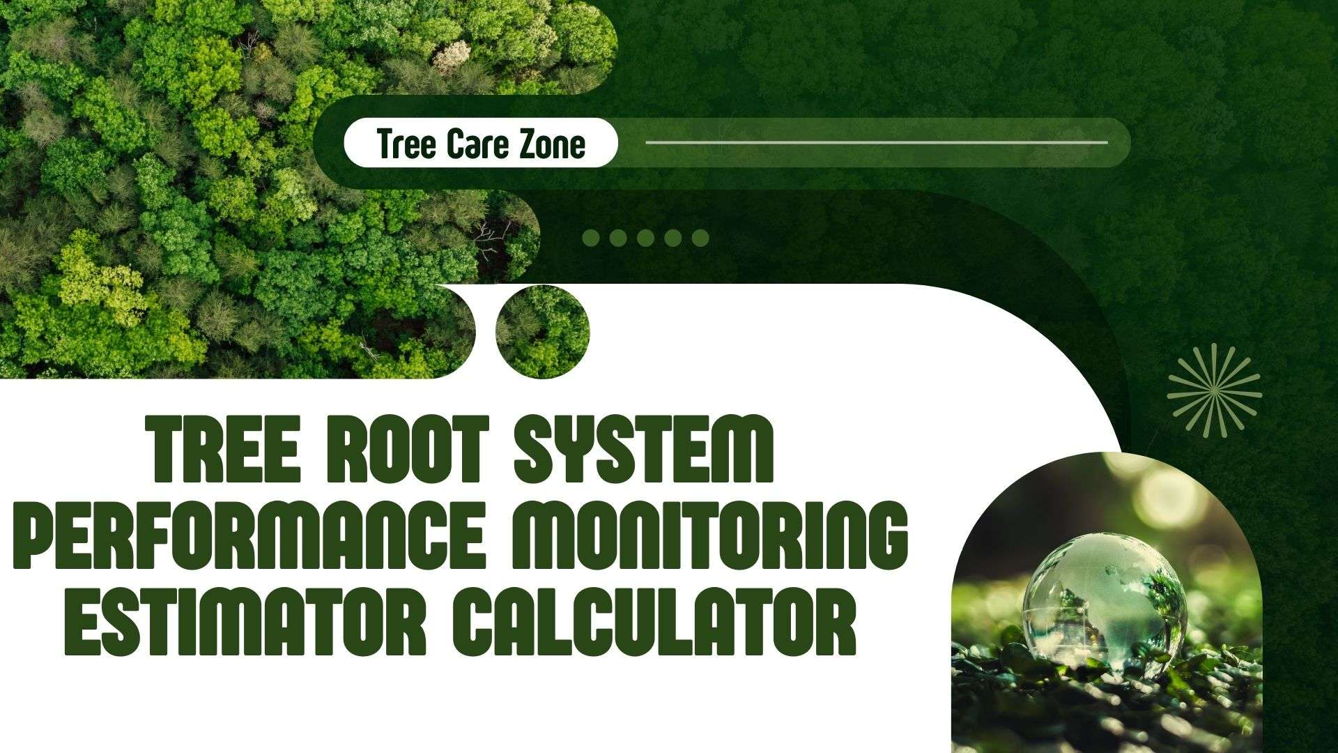 Tree Root System Performance Monitoring Estimator Calculator Aid