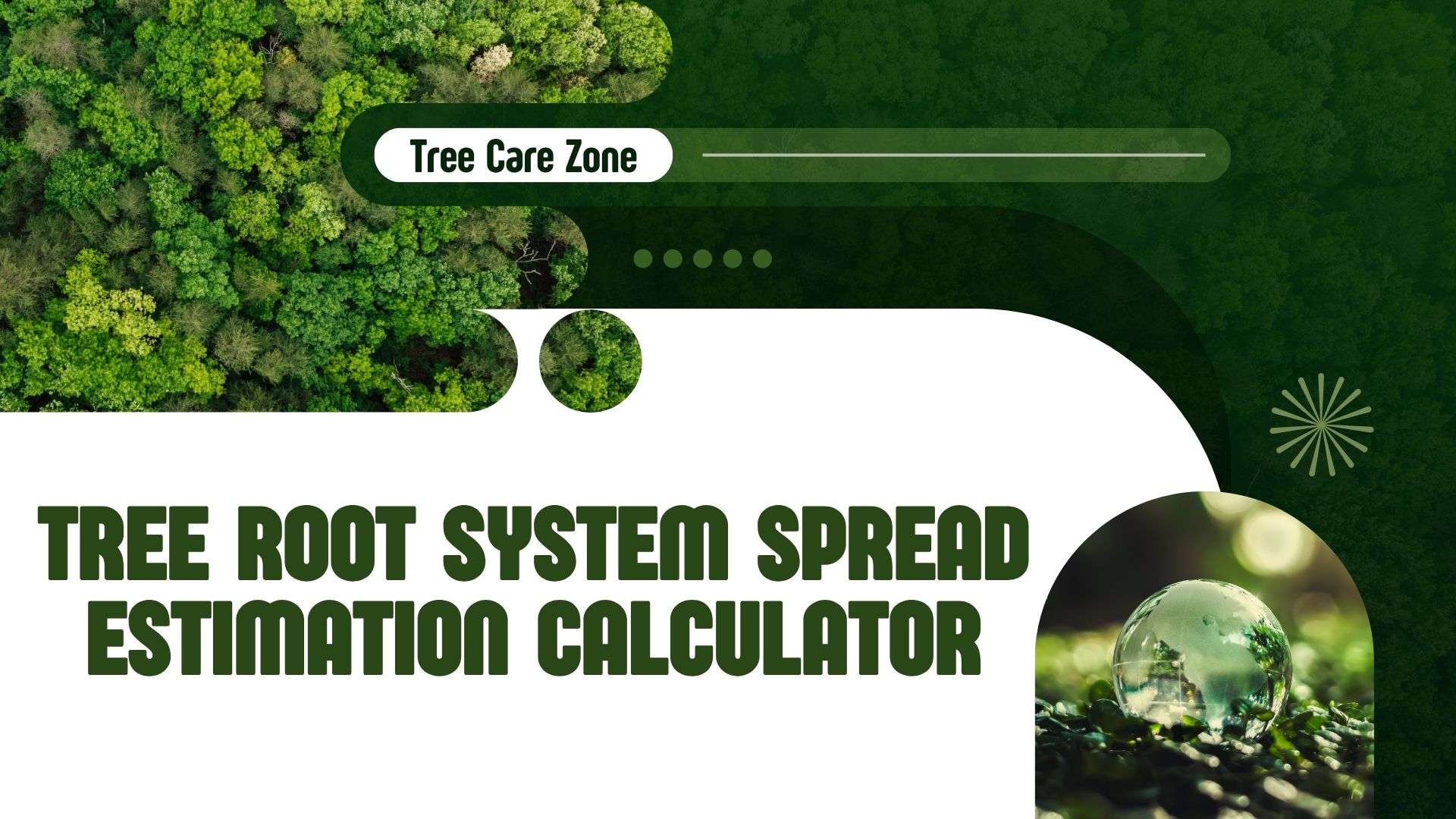 Tree Root System Spread Estimation Calculator Guide