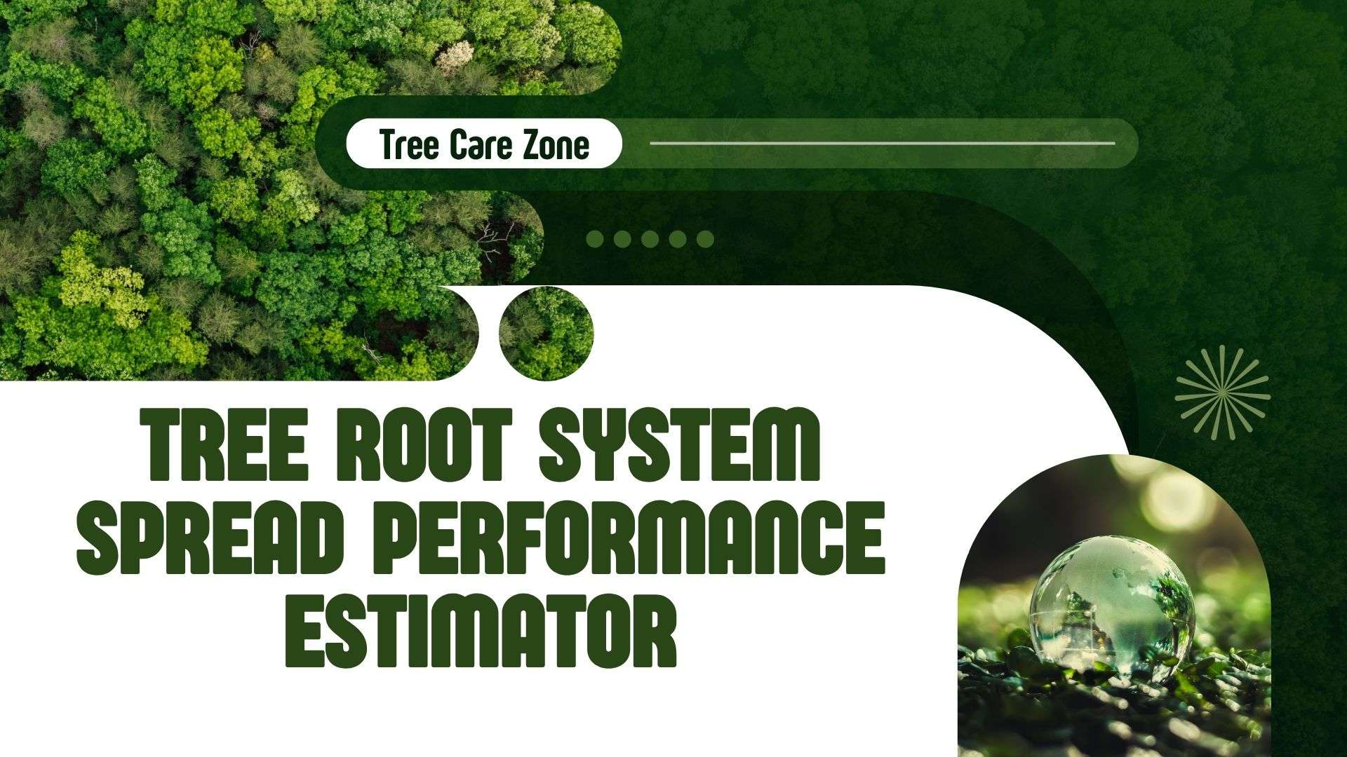 Tree Root System Spread Performance Estimator Guide