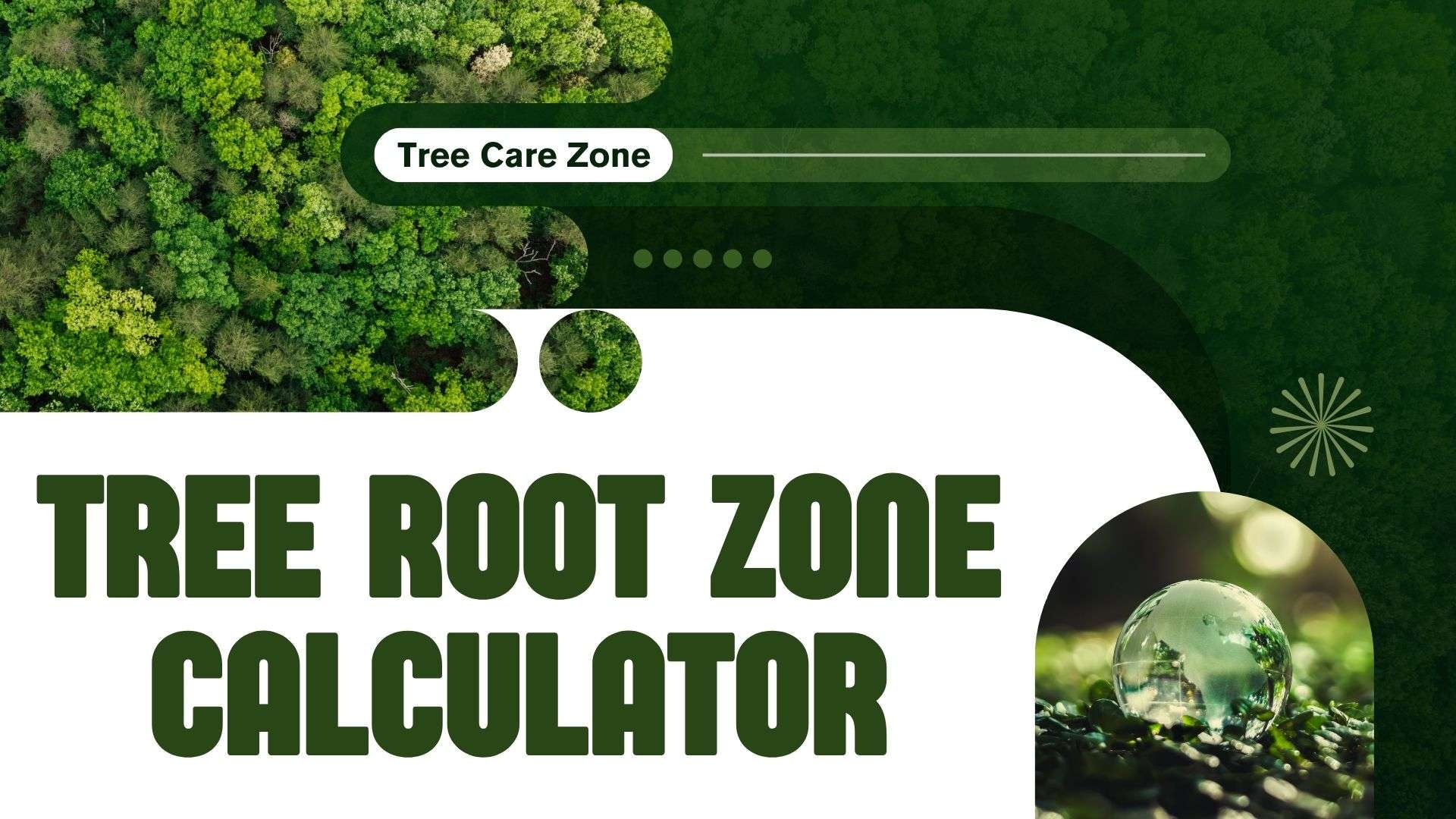 Tree Root Zone Calculator: Protect Trees with Precision