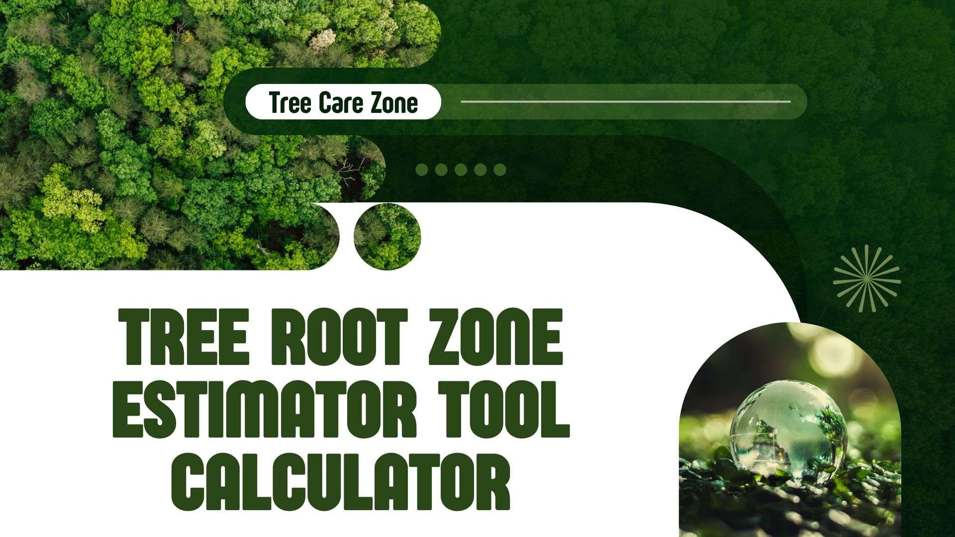 Tree Root Zone Estimator Tool Calculator for Trees