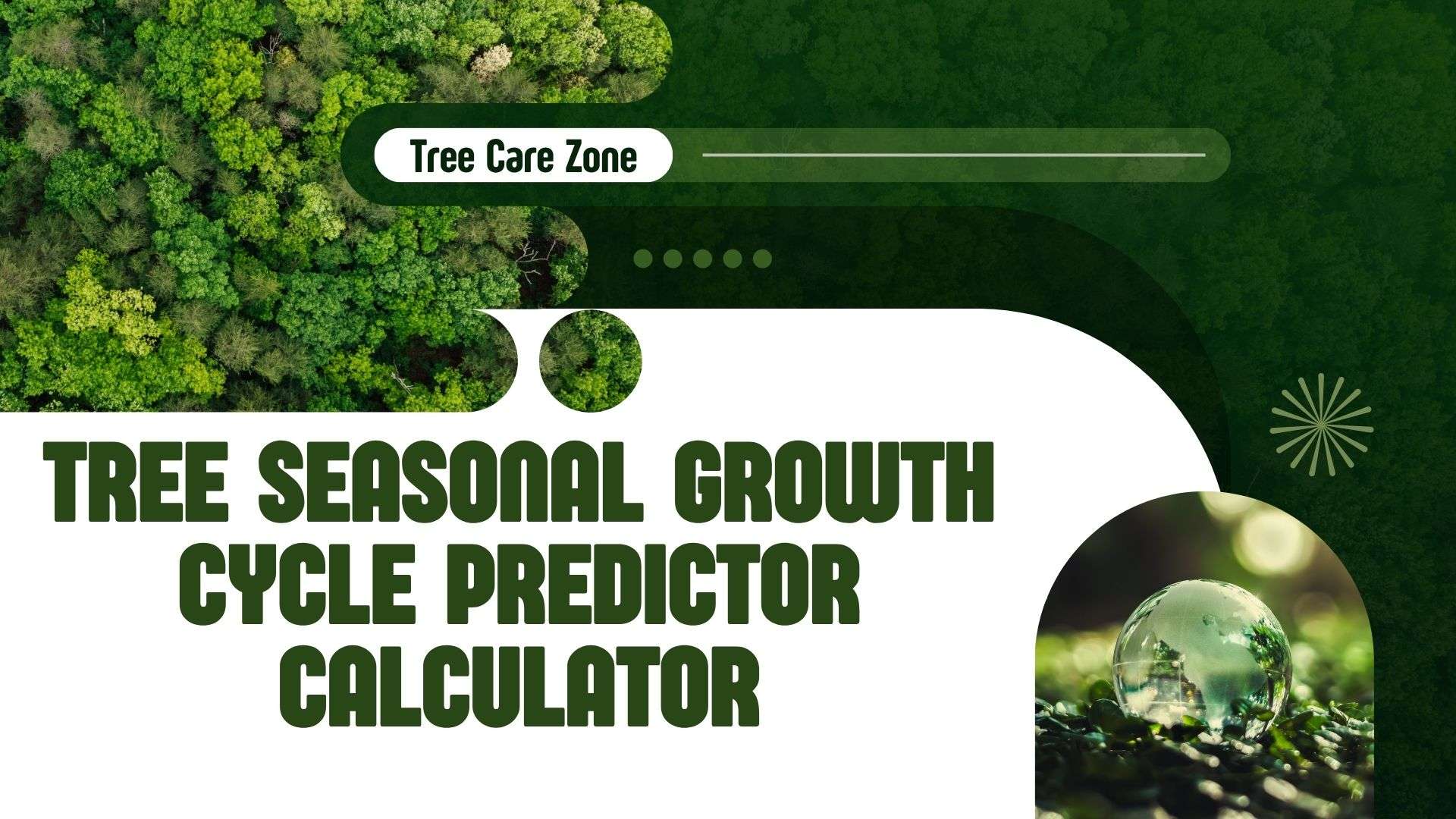 Tree Seasonal Growth Cycle Predictor Calculator Guide