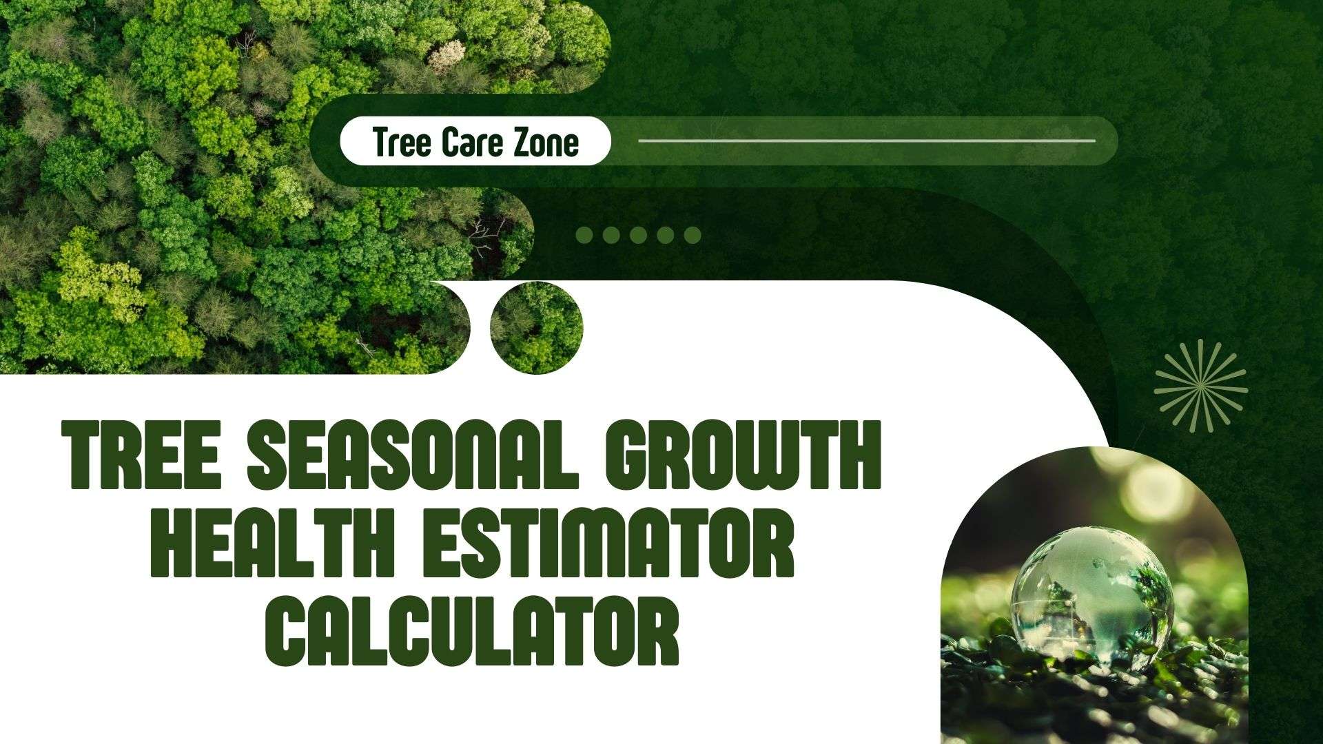 Tree Seasonal Growth Health Estimator Calculator Tool