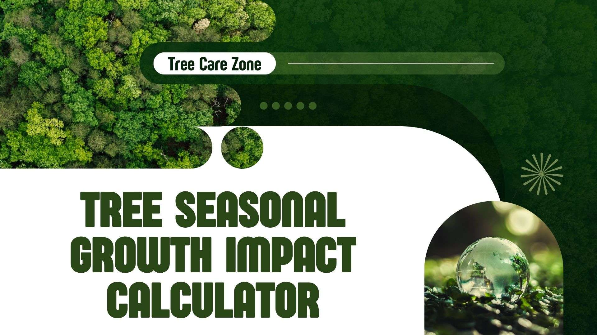 Tree Seasonal Growth Impact Calculator Guide