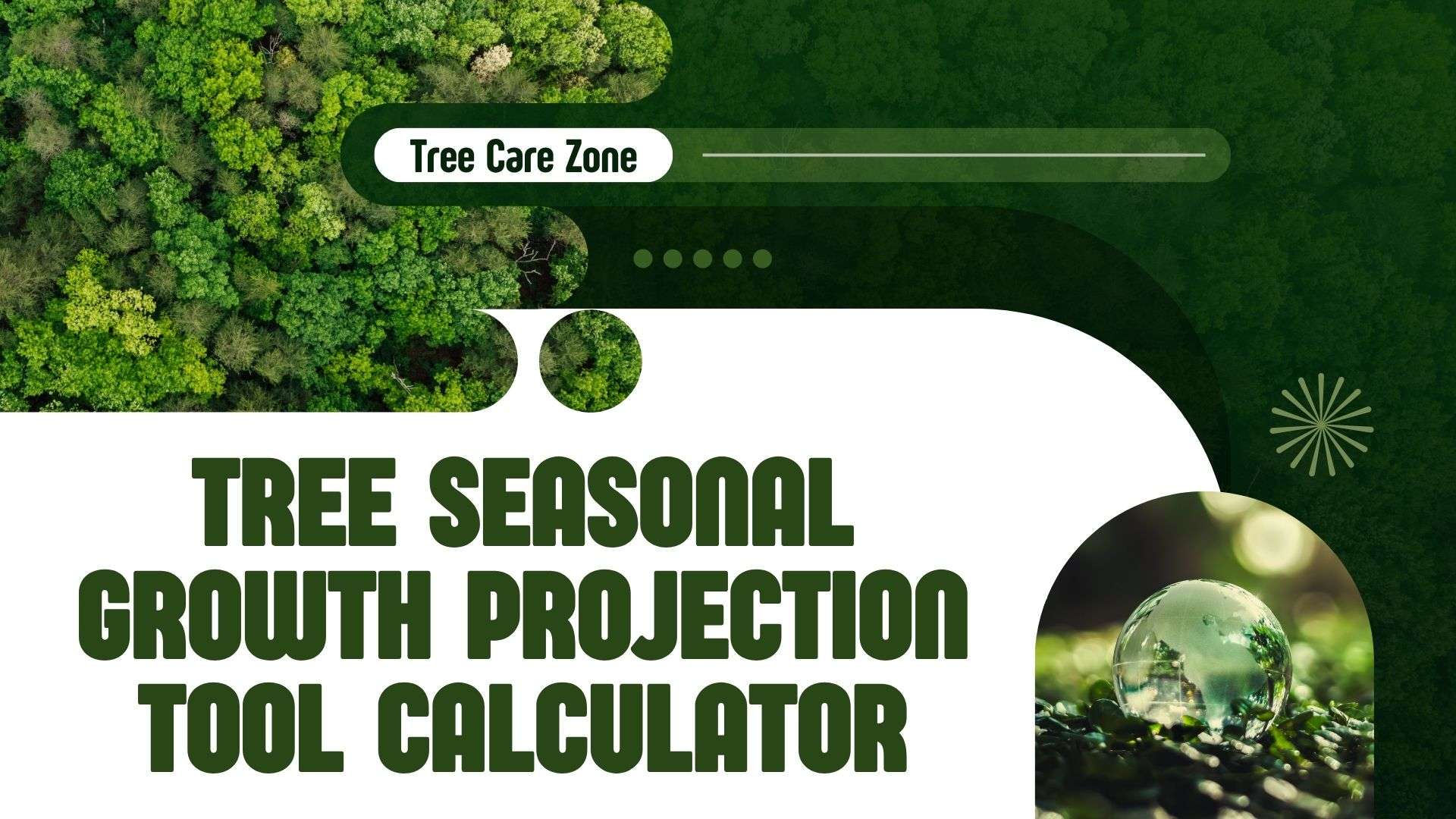 Tree Seasonal Growth Projection Tool Calculator Guide
