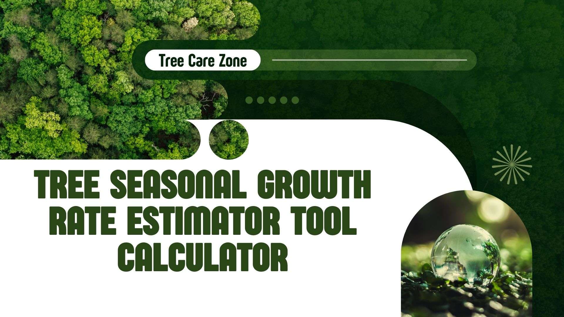 Tree Seasonal Growth Rate Estimator Tool Calculator Guide