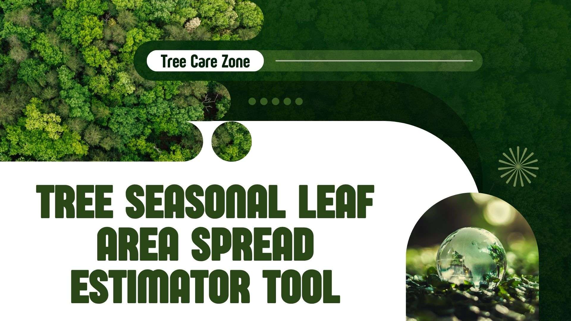 Tree Seasonal Leaf Area Spread Estimator Tool