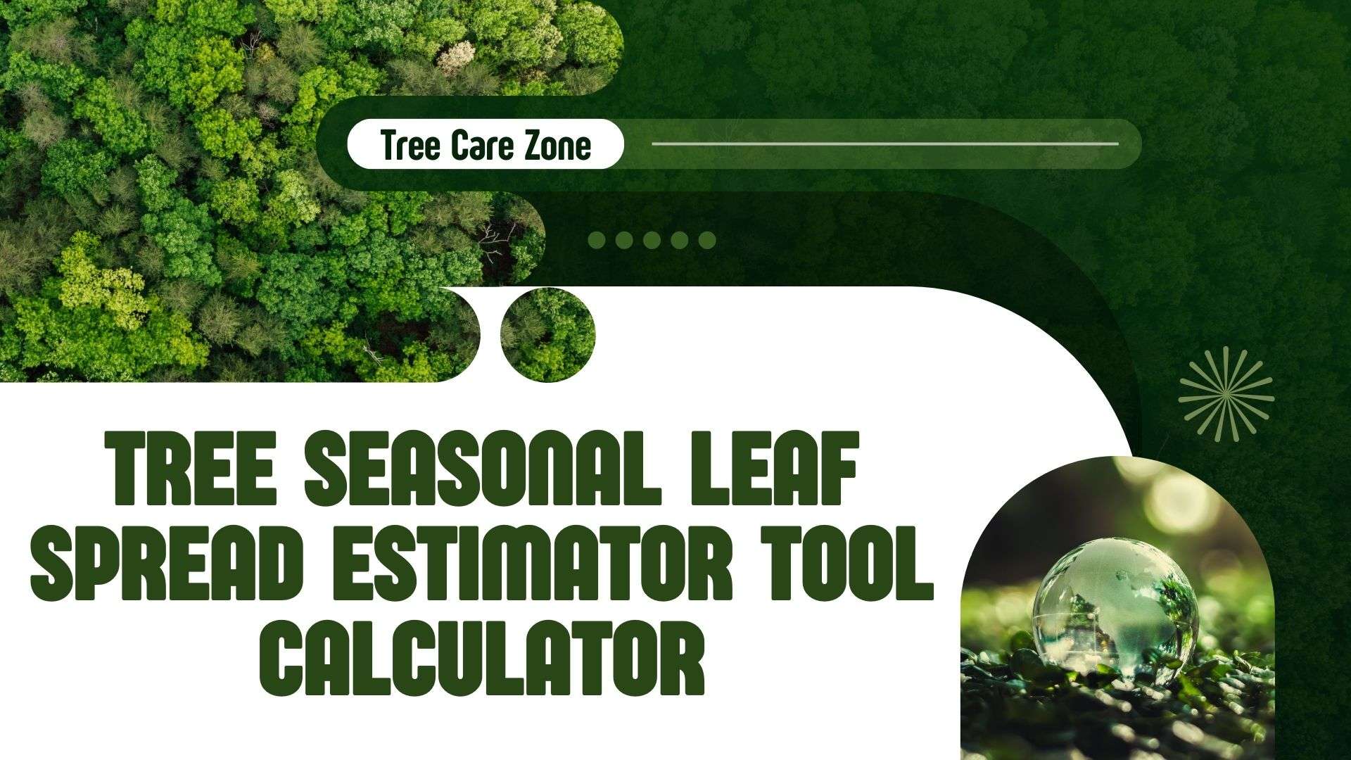 Tree Seasonal Leaf Spread Estimator Tool Calculator Guide