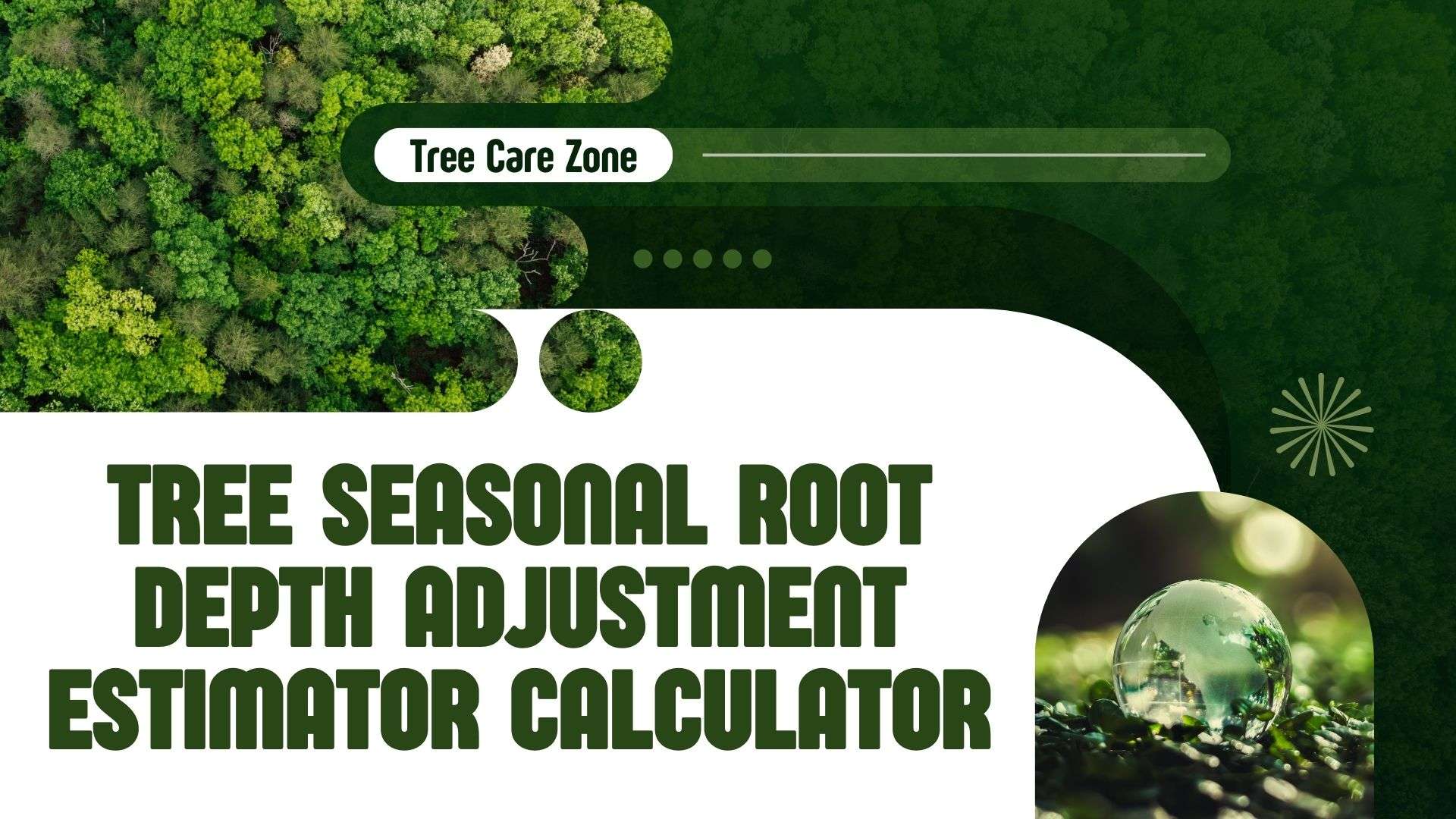 Tree Seasonal Root Depth Adjustment Estimator Calculator Guide