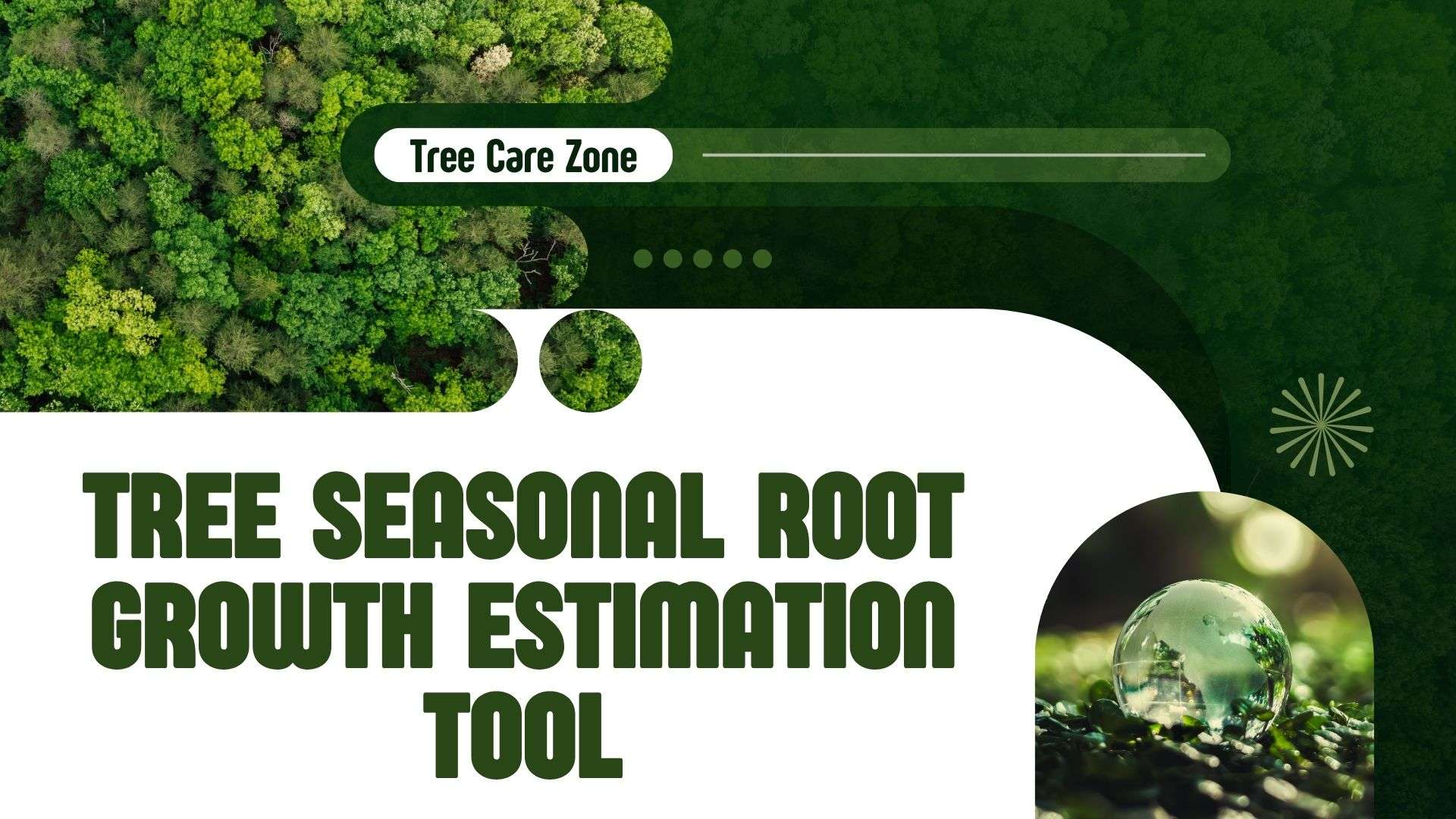 Tree Seasonal Root Growth Estimation Tool Guide