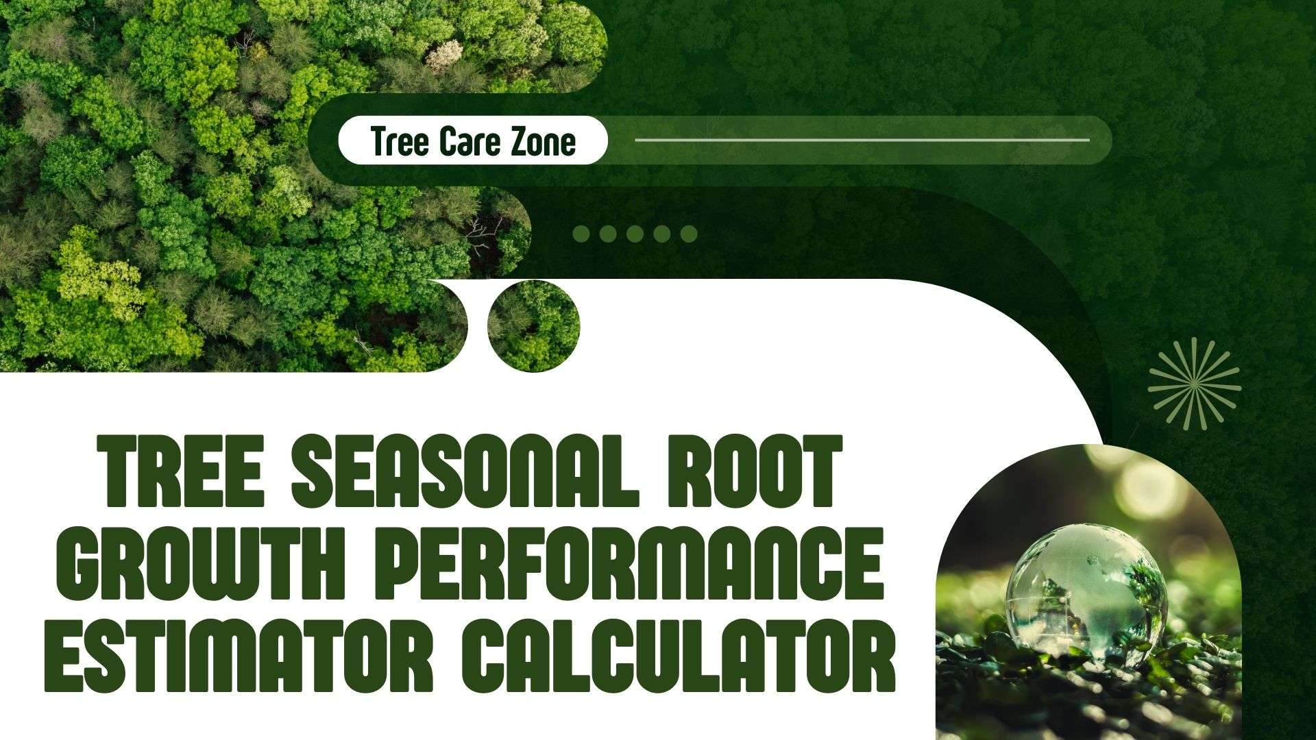 Tree Seasonal Root Growth Calculator
