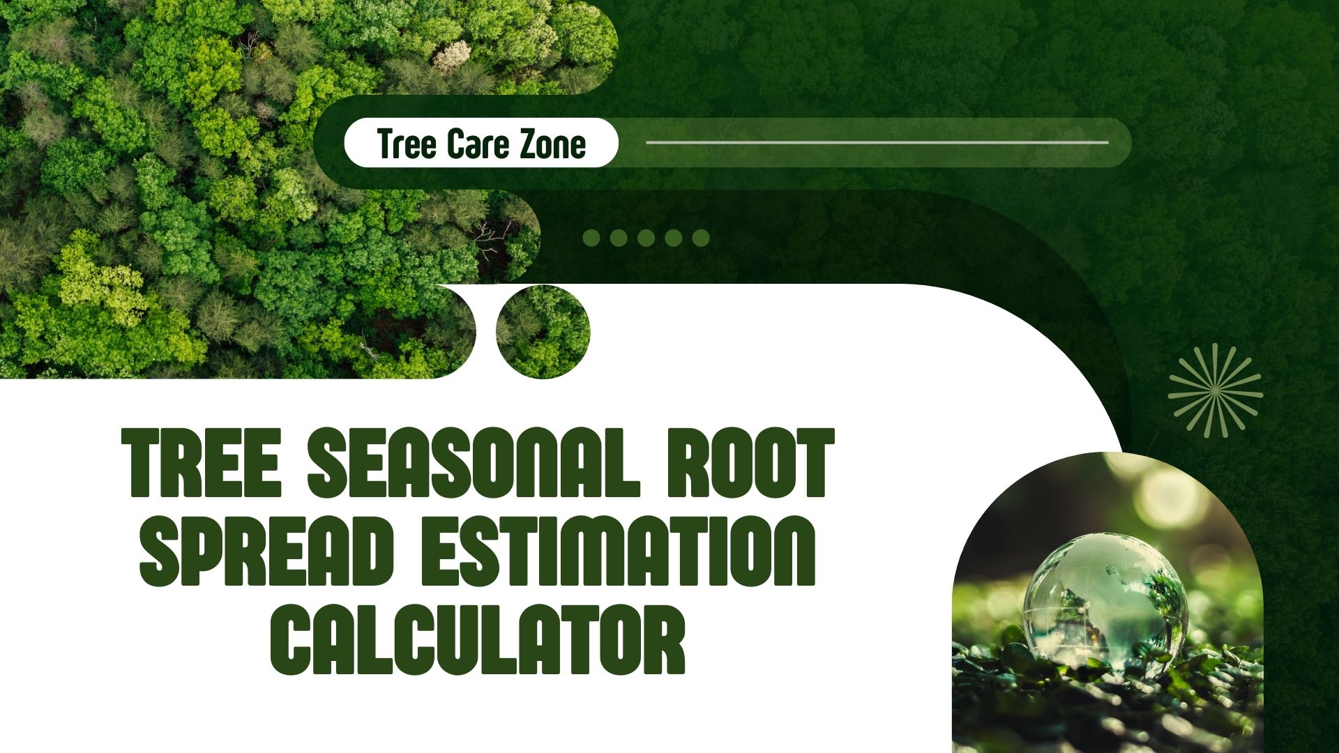 Tree Seasonal Root Spread Estimation Calculator Tool