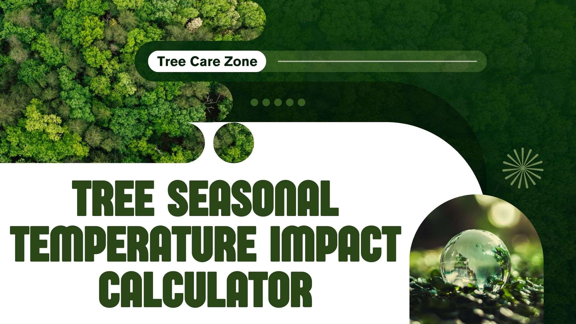 Tree Seasonal Temperature Impact Calculator Tool