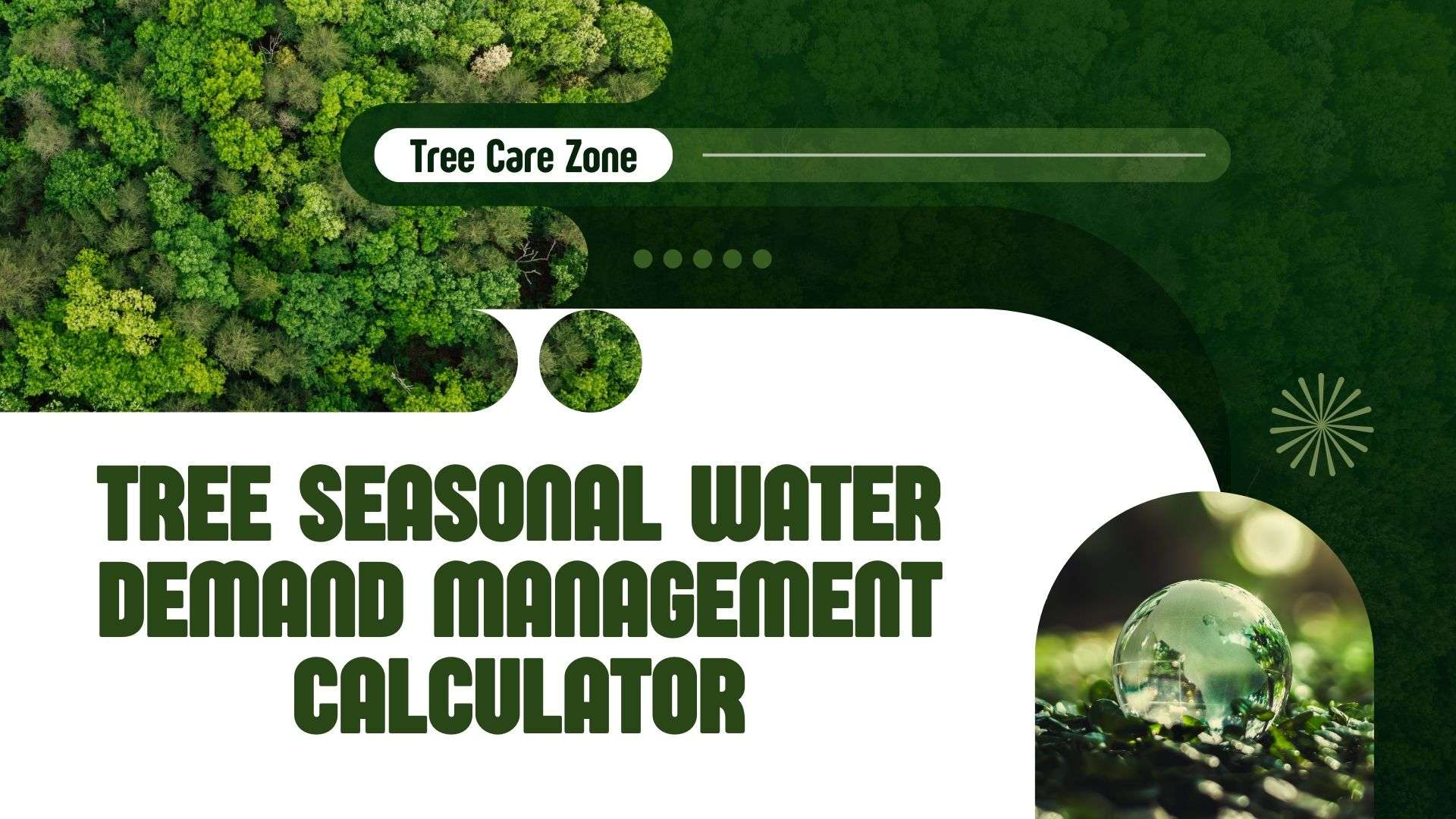 Tree Seasonal Water Demand Management Calculator Guide