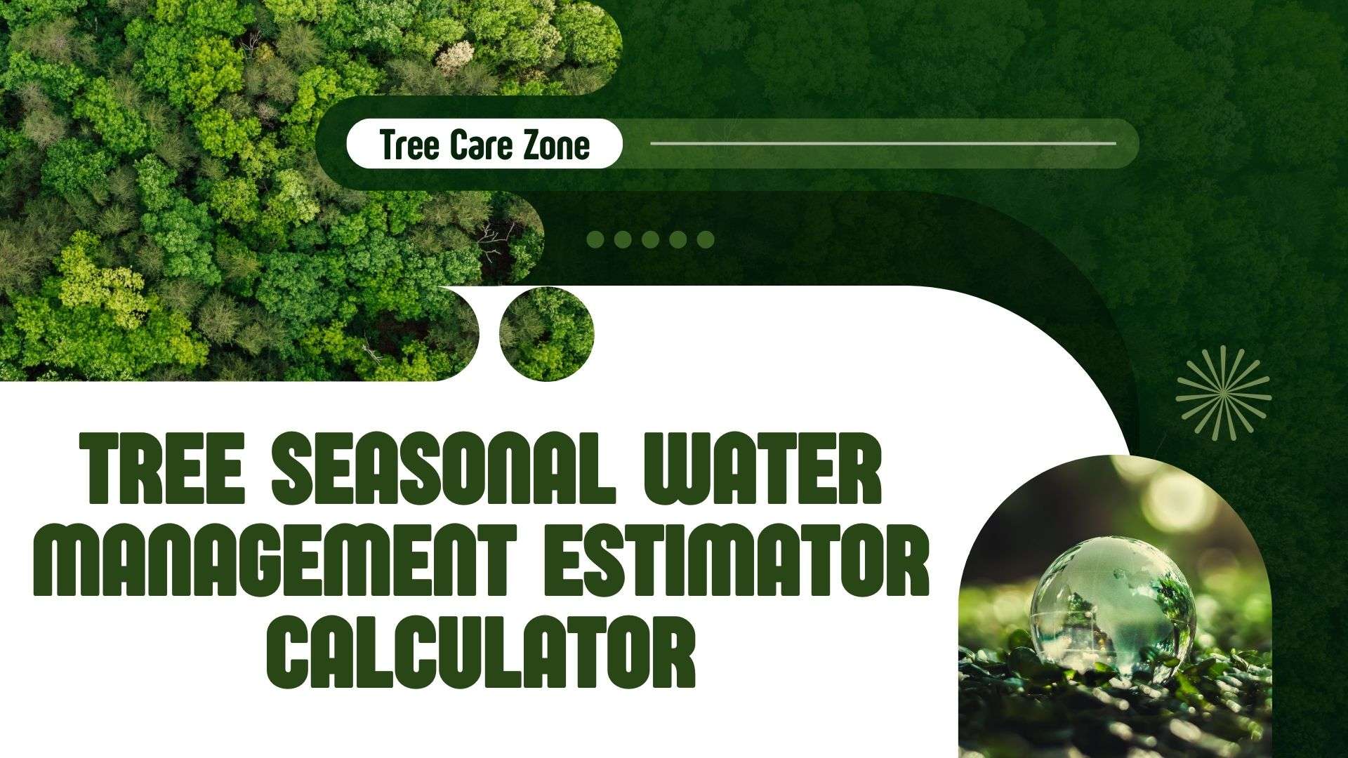 Tree Seasonal Water Management Estimator Calculator Guide