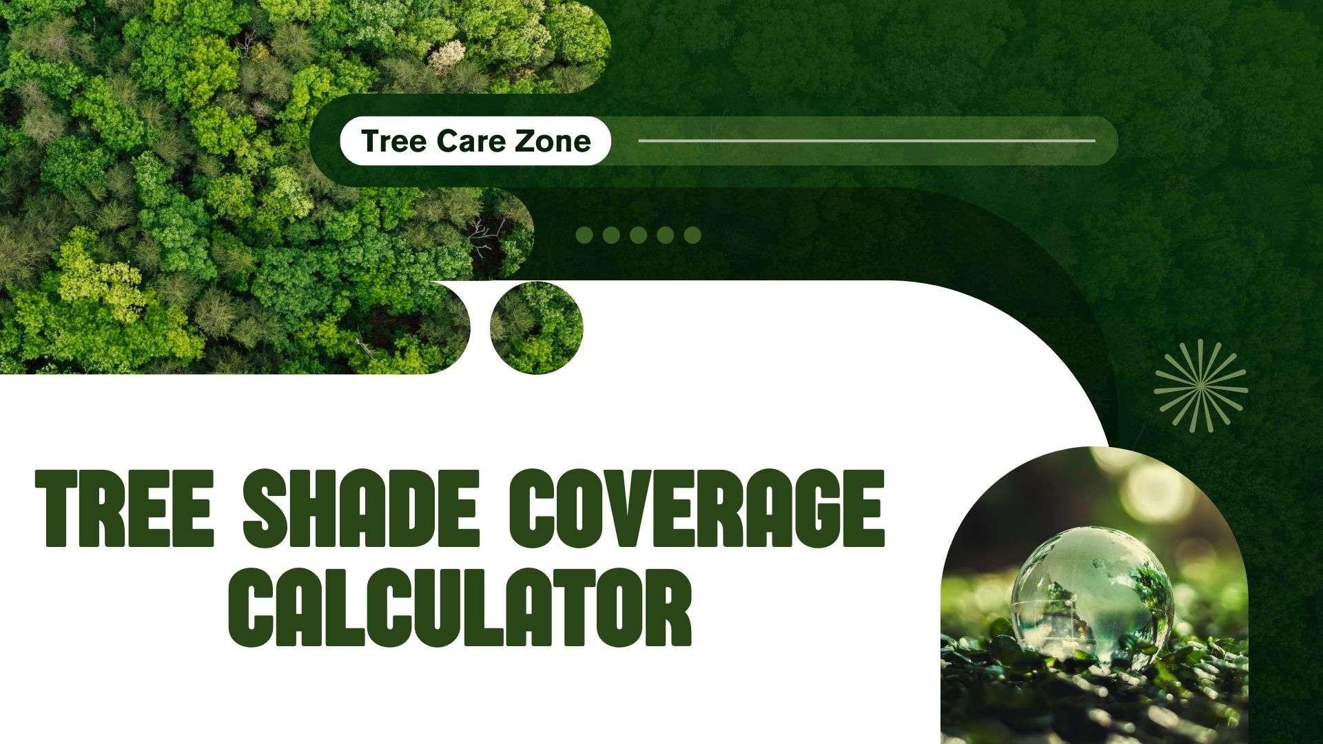 Tree Shade Coverage Calculator for Easy Planning