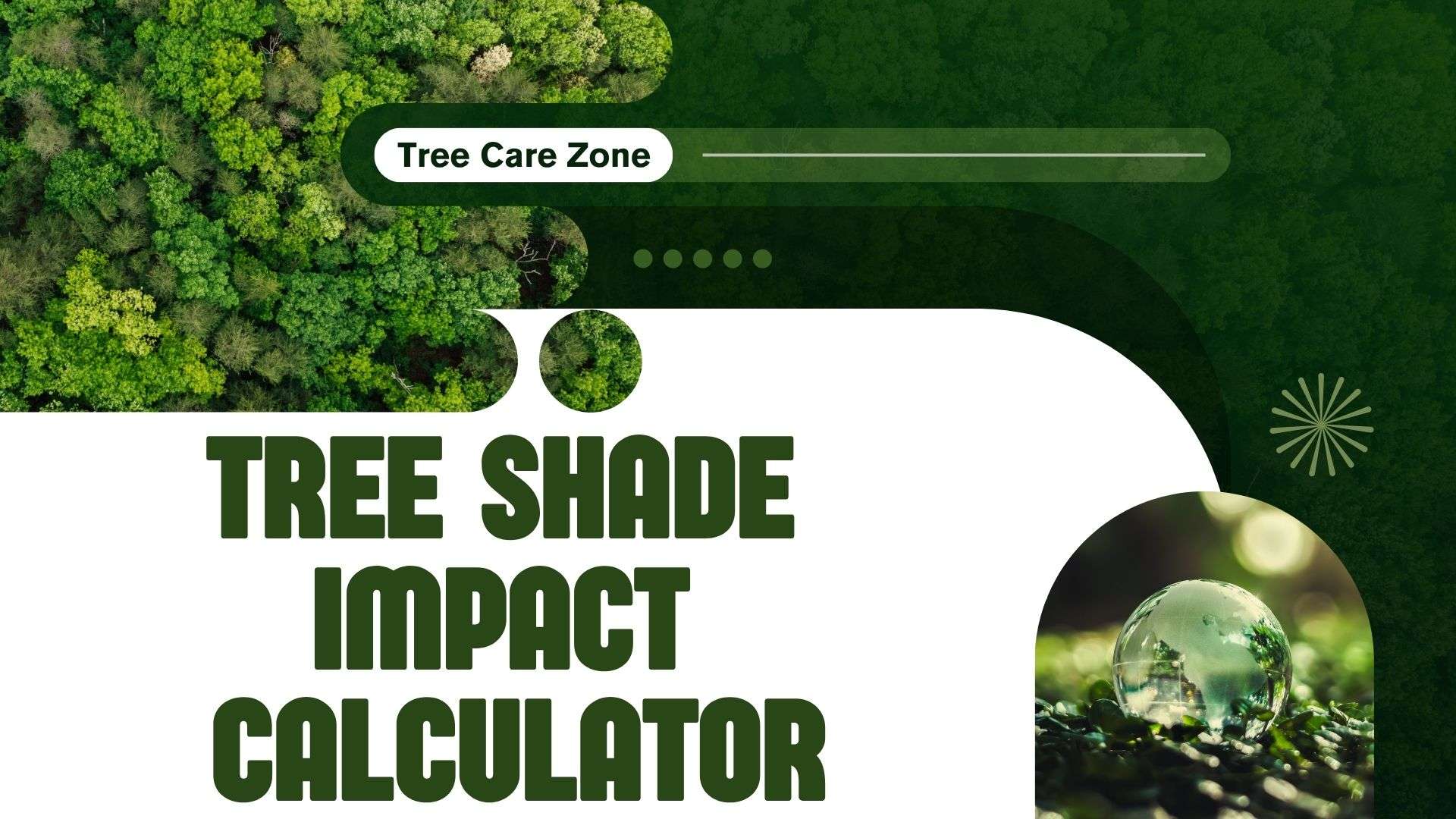 Tree Shade Impact Calculator: Shade Coverage Tool