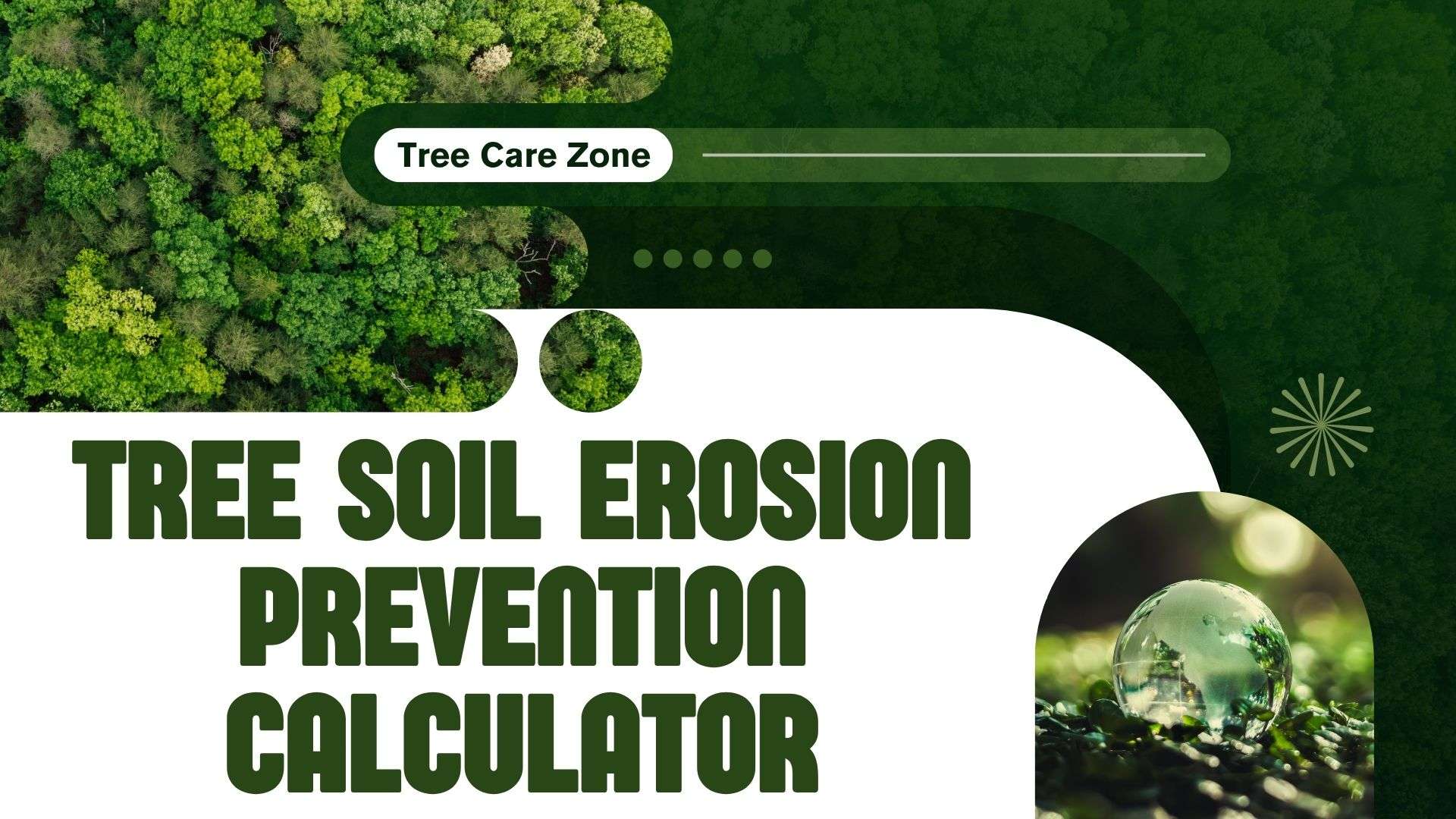 Tree Soil Erosion Prevention Calculator - Free Tool