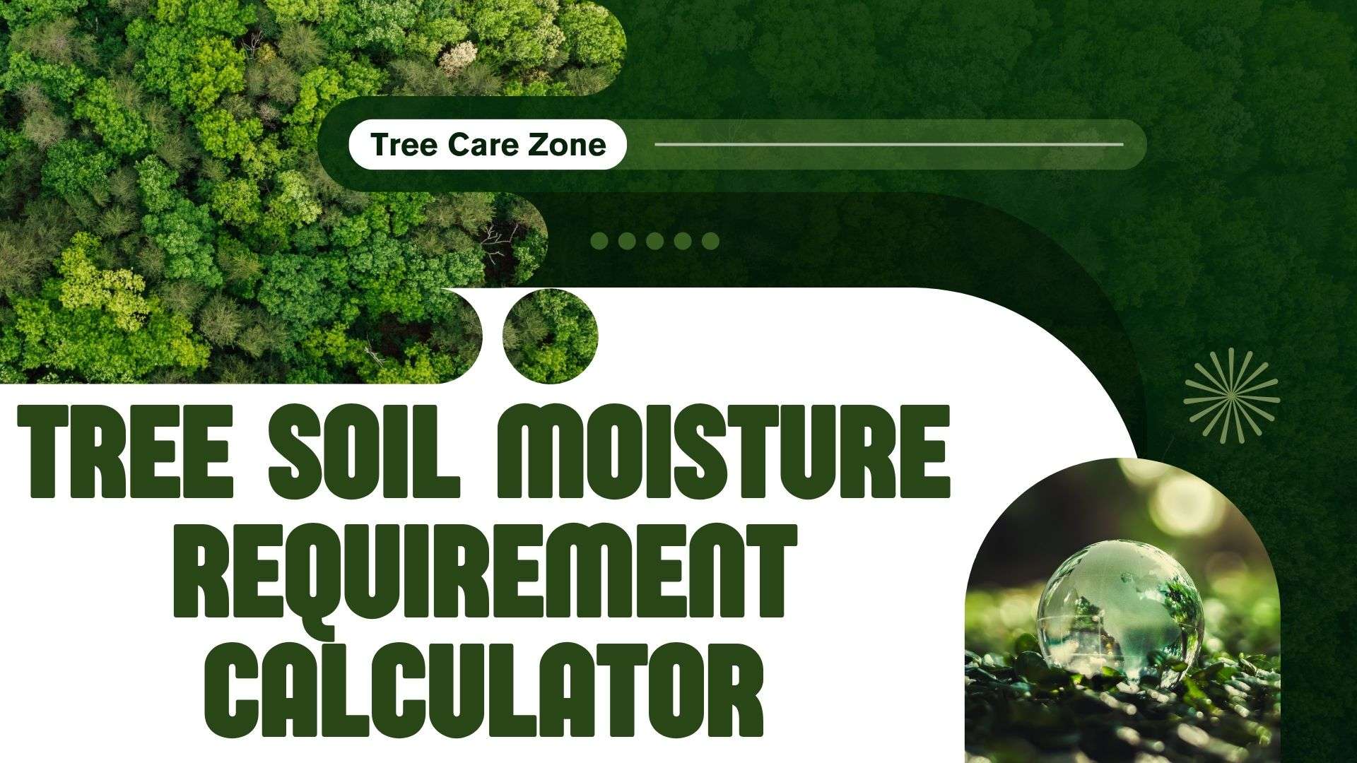 Tree Soil Moisture Requirement Calculator for Trees