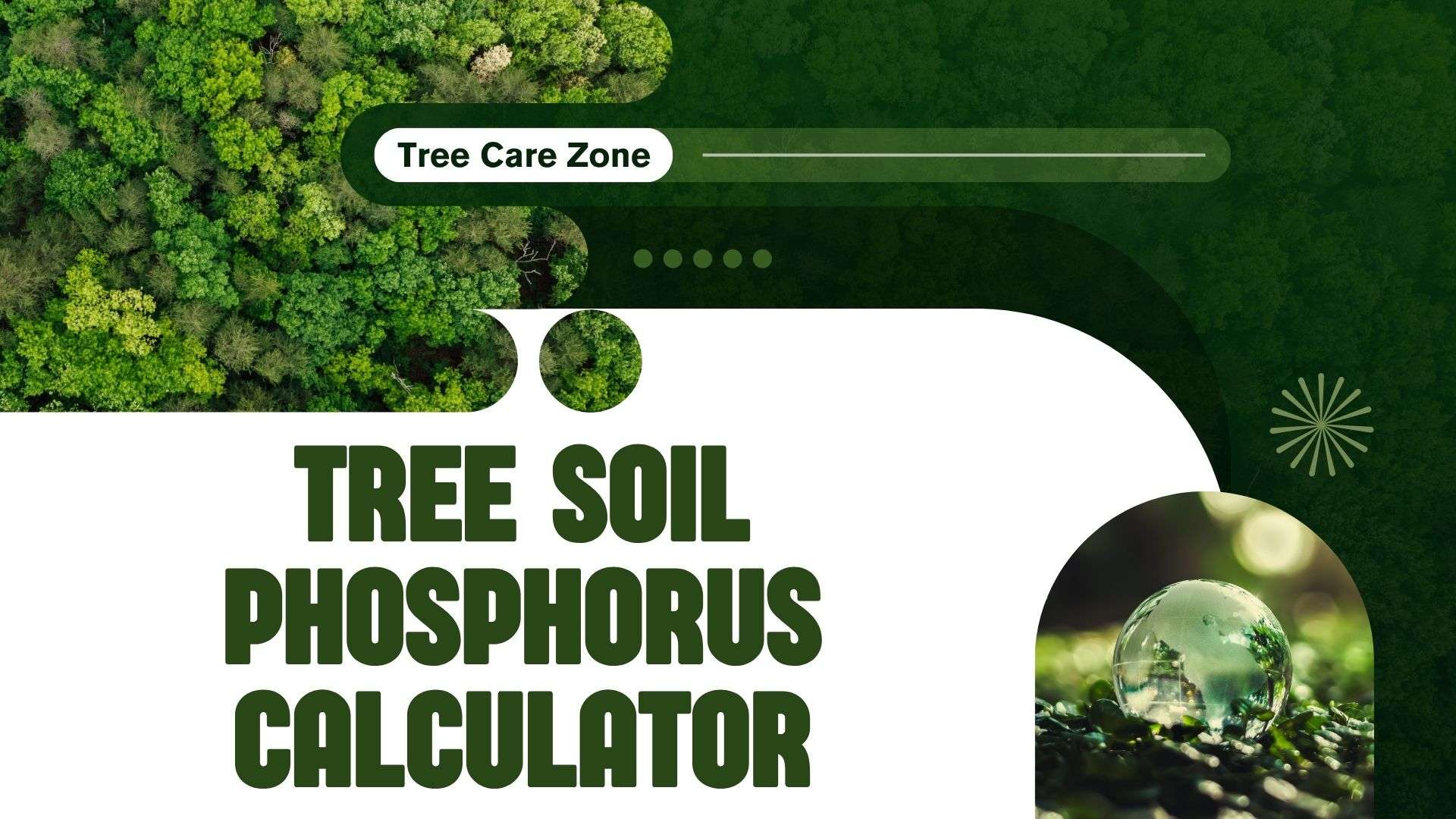 Tree Soil Phosphorus Calculator for Healthy Trees