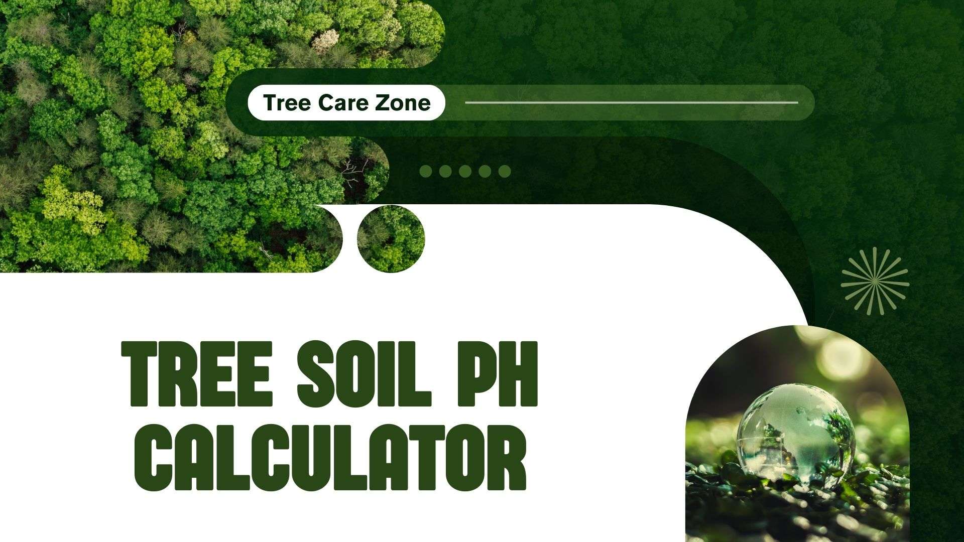 Tree Soil pH Calculator: Optimize Tree Health in 2025