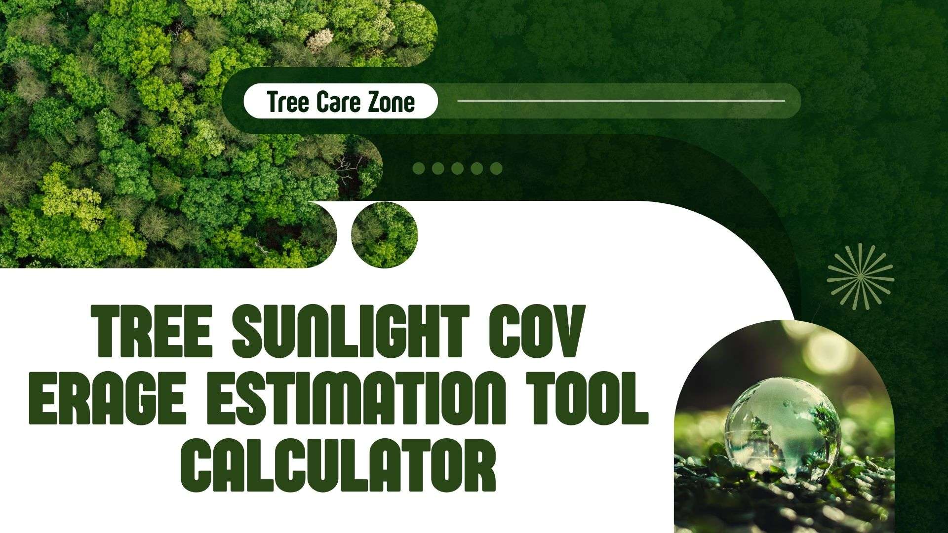 Tree Seasonal Growth Monitoring Estimator Tool Calculator Guide