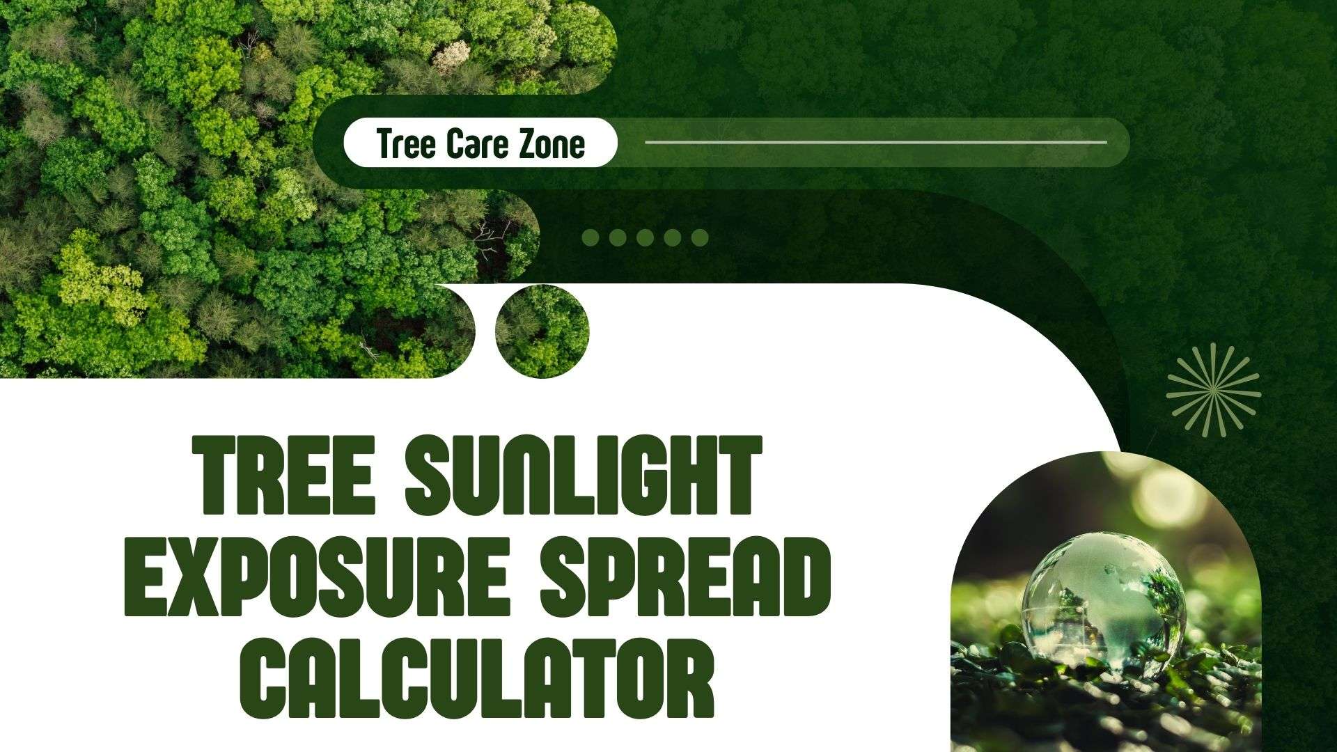Tree Sunlight Exposure Spread Calculator Tool