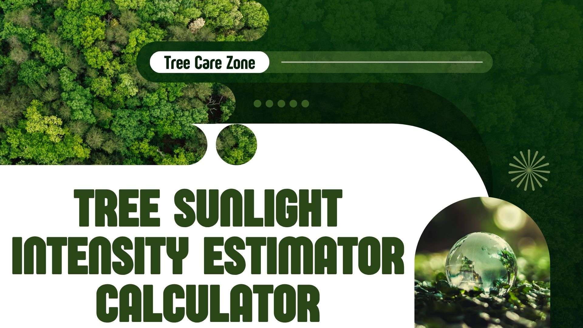 Tree Sunlight Intensity Estimator Calculator Tool