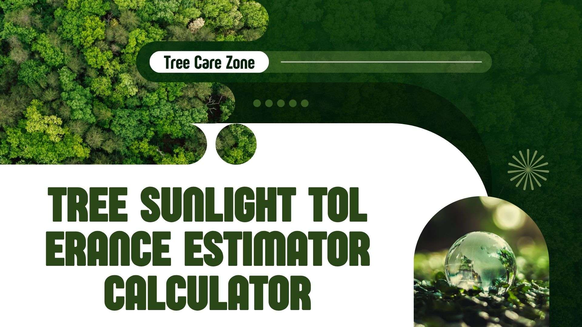 Tree Sunlight Tolerance Estimator Calculator Guide