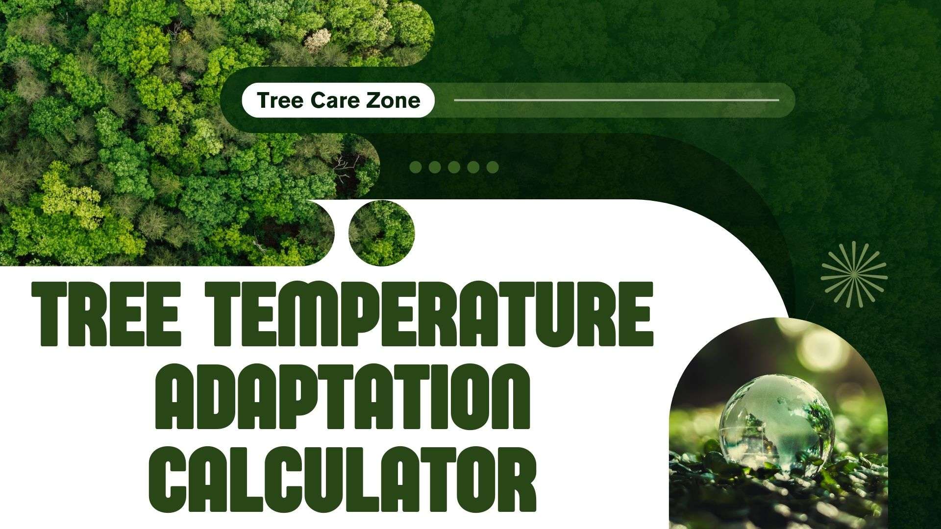 Tree Temperature Adaptation Calculator for Trees