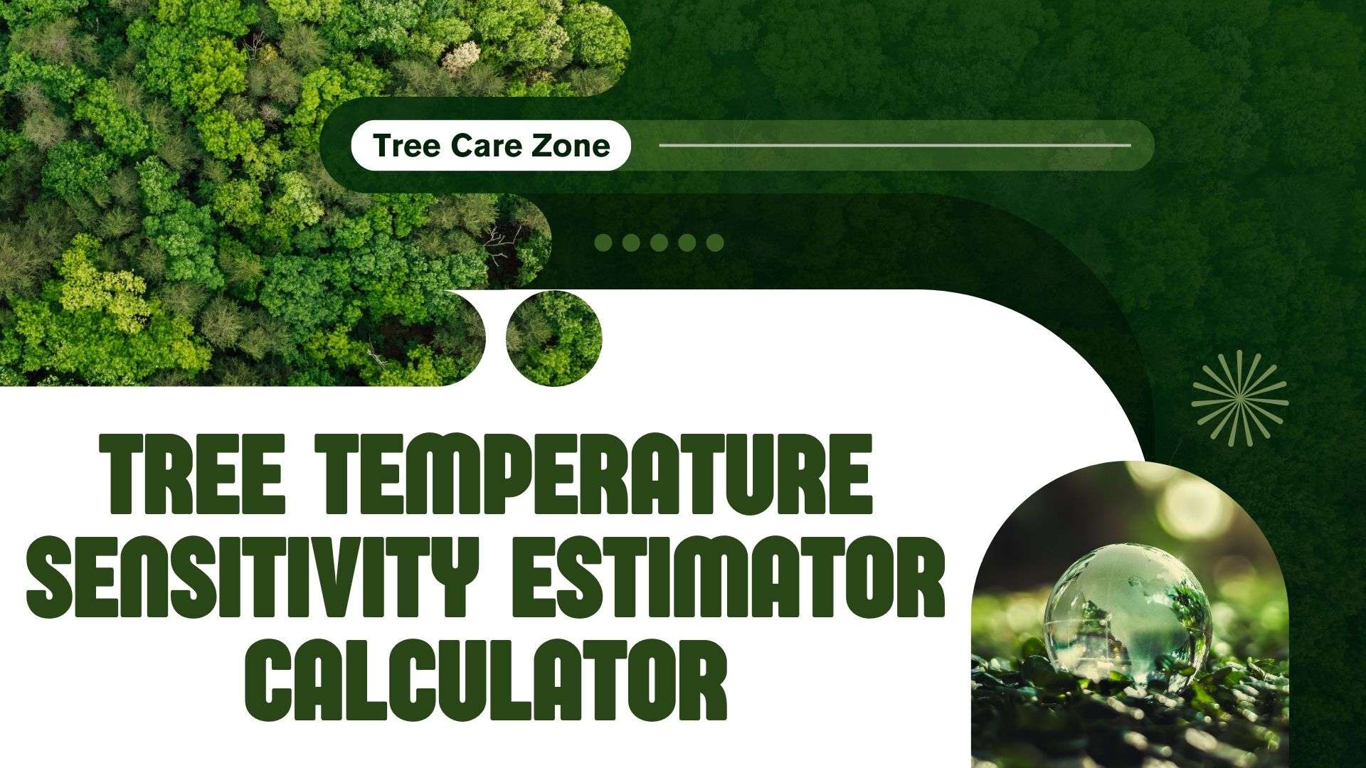 Tree Temperature Sensitivity Estimator Calculator Guide
