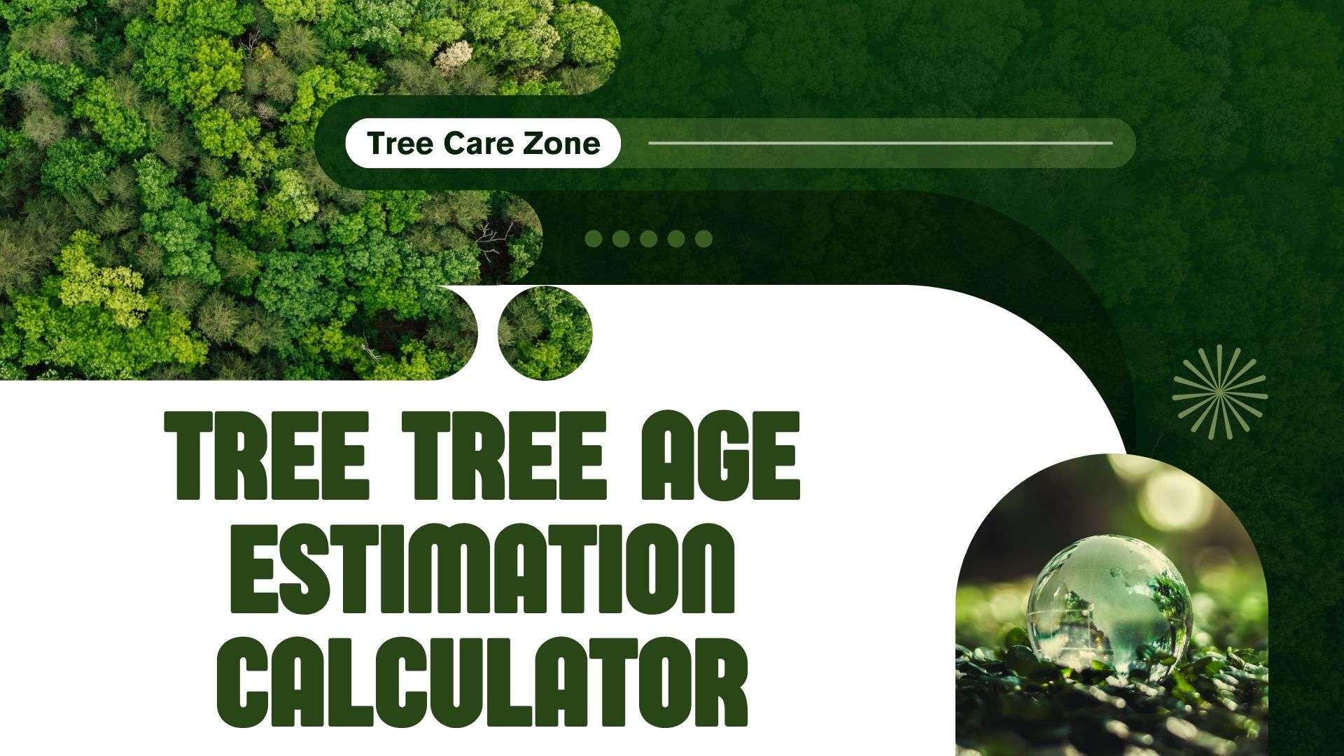 Tree Age Estimation Calculator: Easy Tree Age Tool