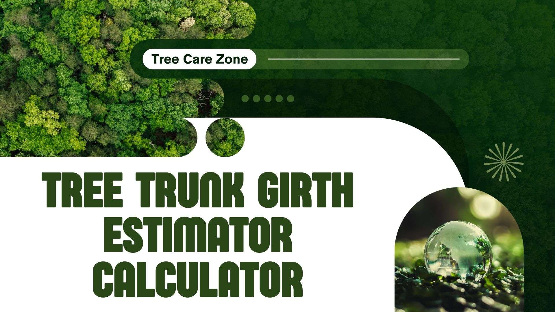 Tree Trunk Girth Estimator Calculator for Trees