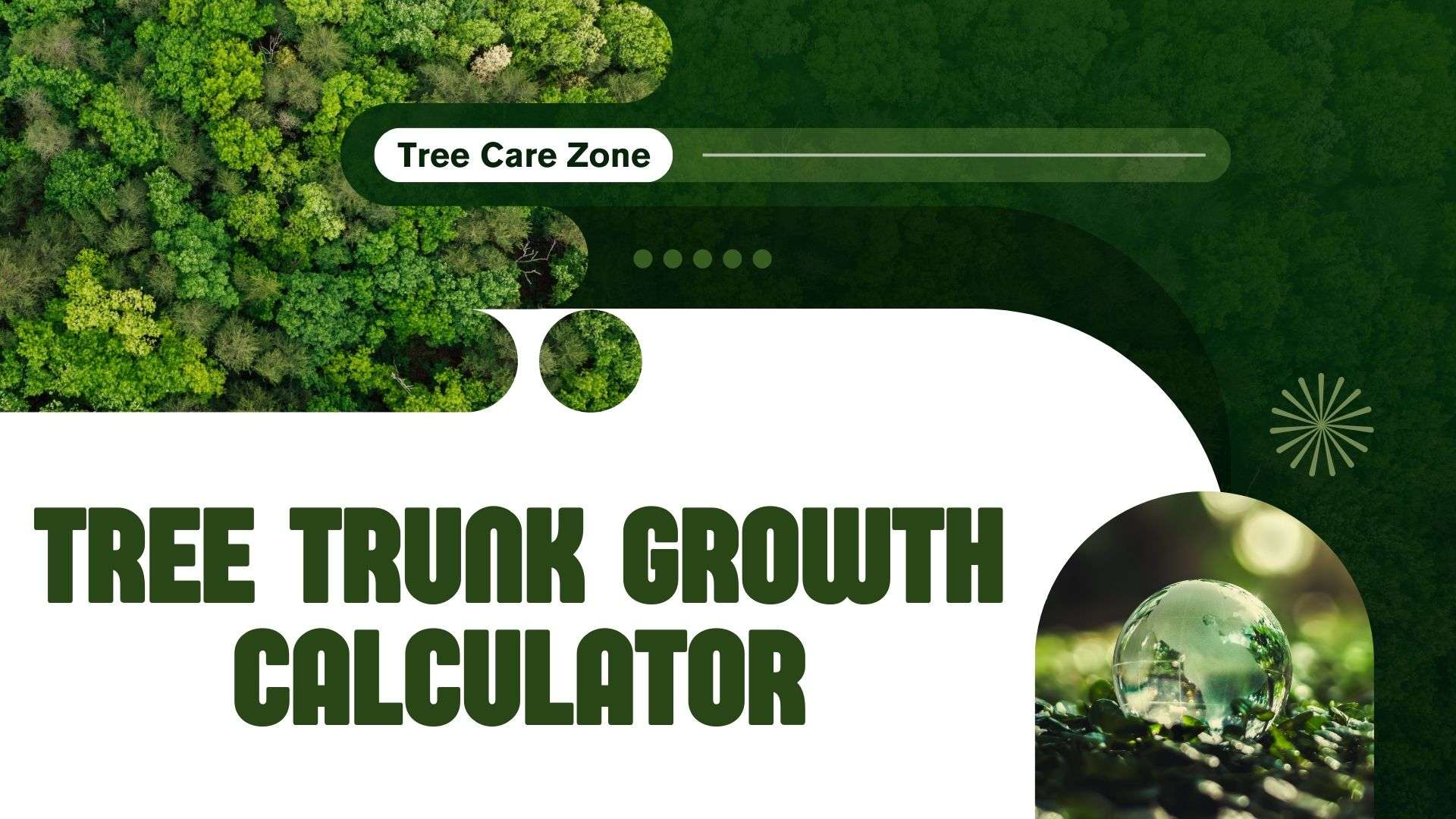 Tree Trunk Growth Calculator: Estimate Tree Age & Growth