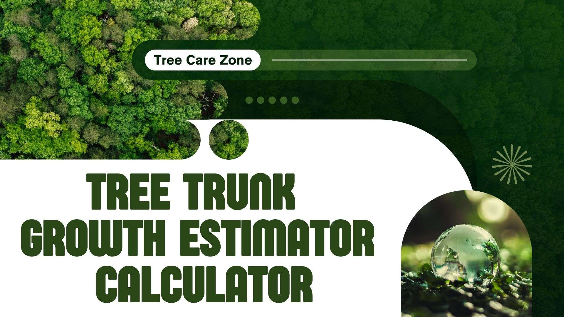 Tree Trunk Growth Estimator Calculator for Any Tree
