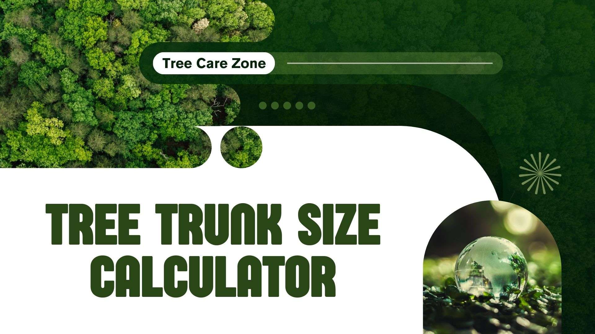 Tree Trunk Size Calculator: Measure Trees Easily