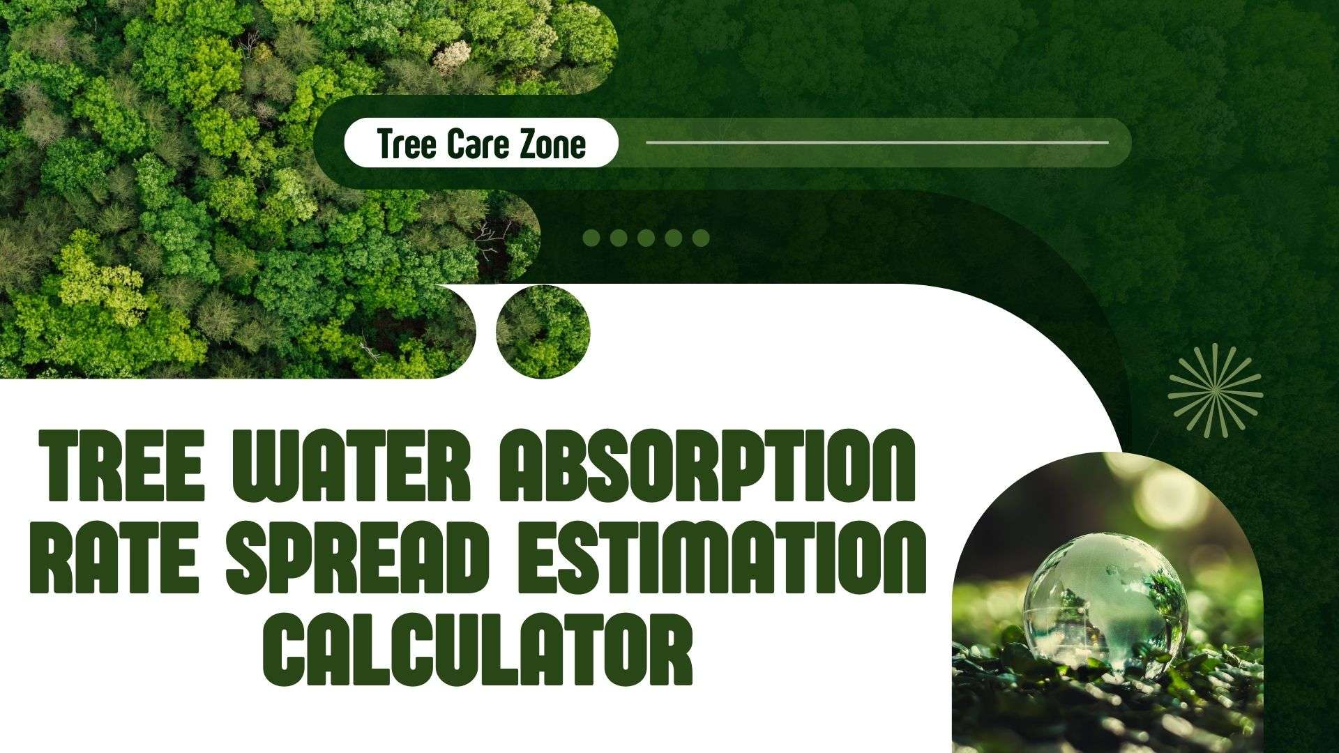 Tree Water Absorption Rate Spread Estimation Calculator Guide