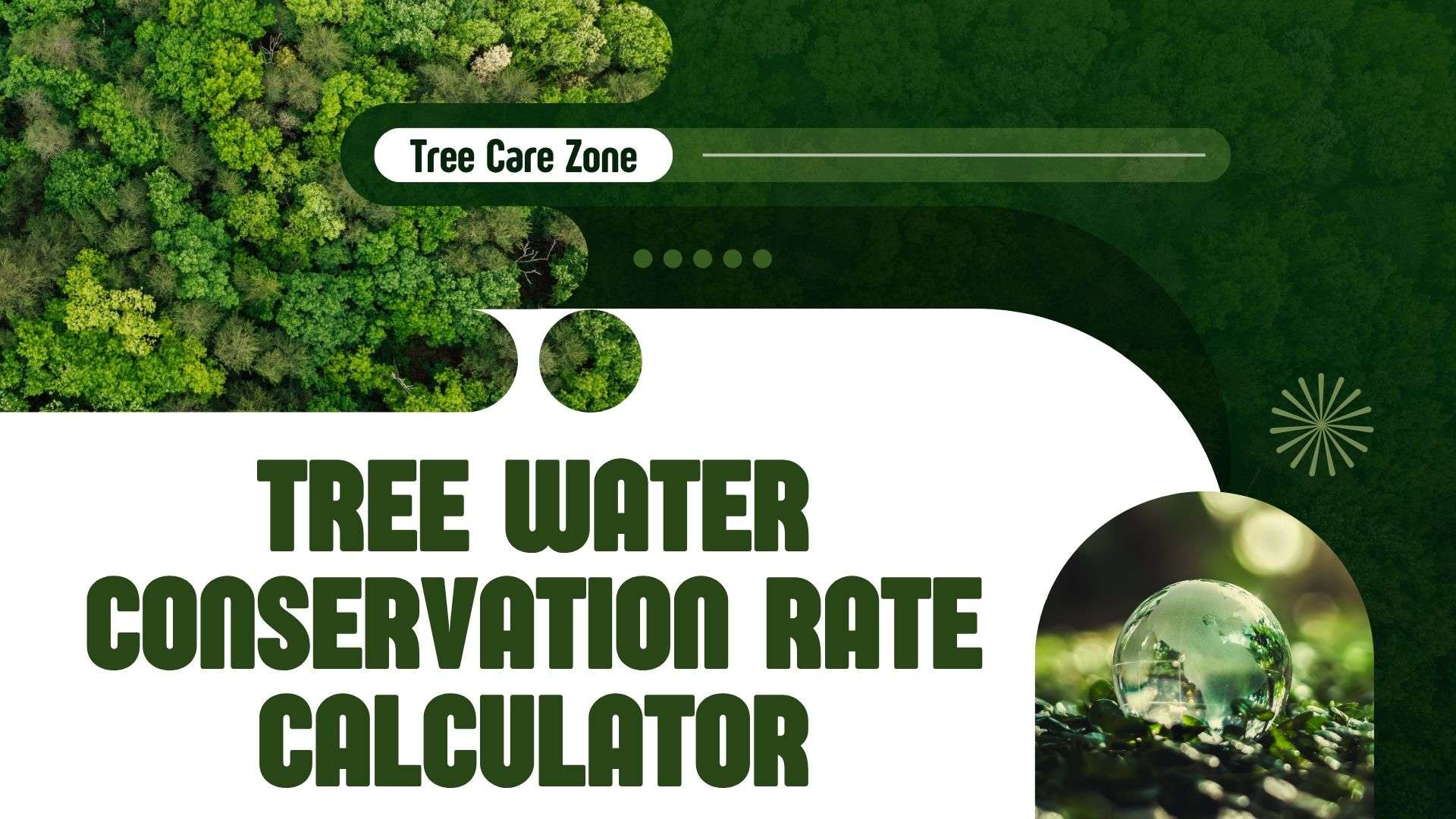 Tree Water Conservation Rate Calculator for Trees