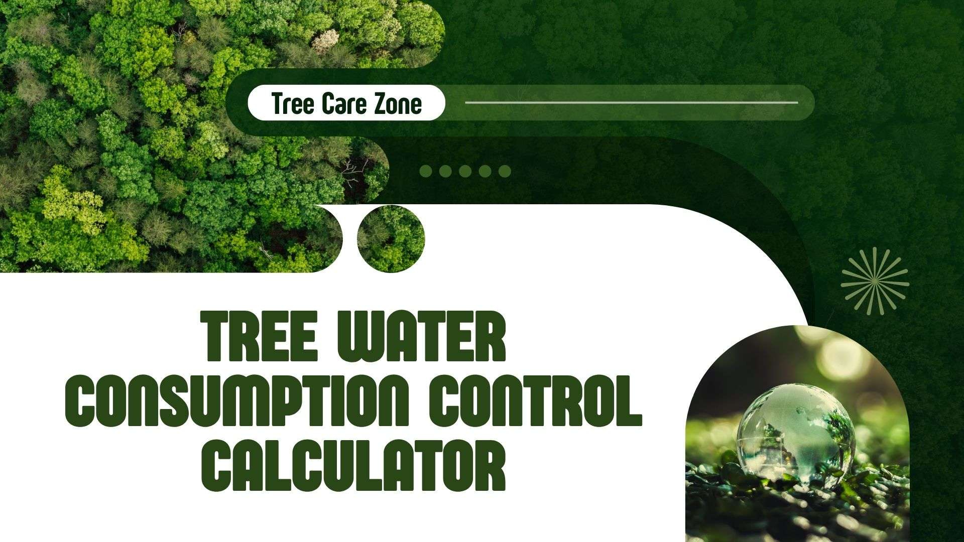 Tree Water Consumption Control Calculator Tool